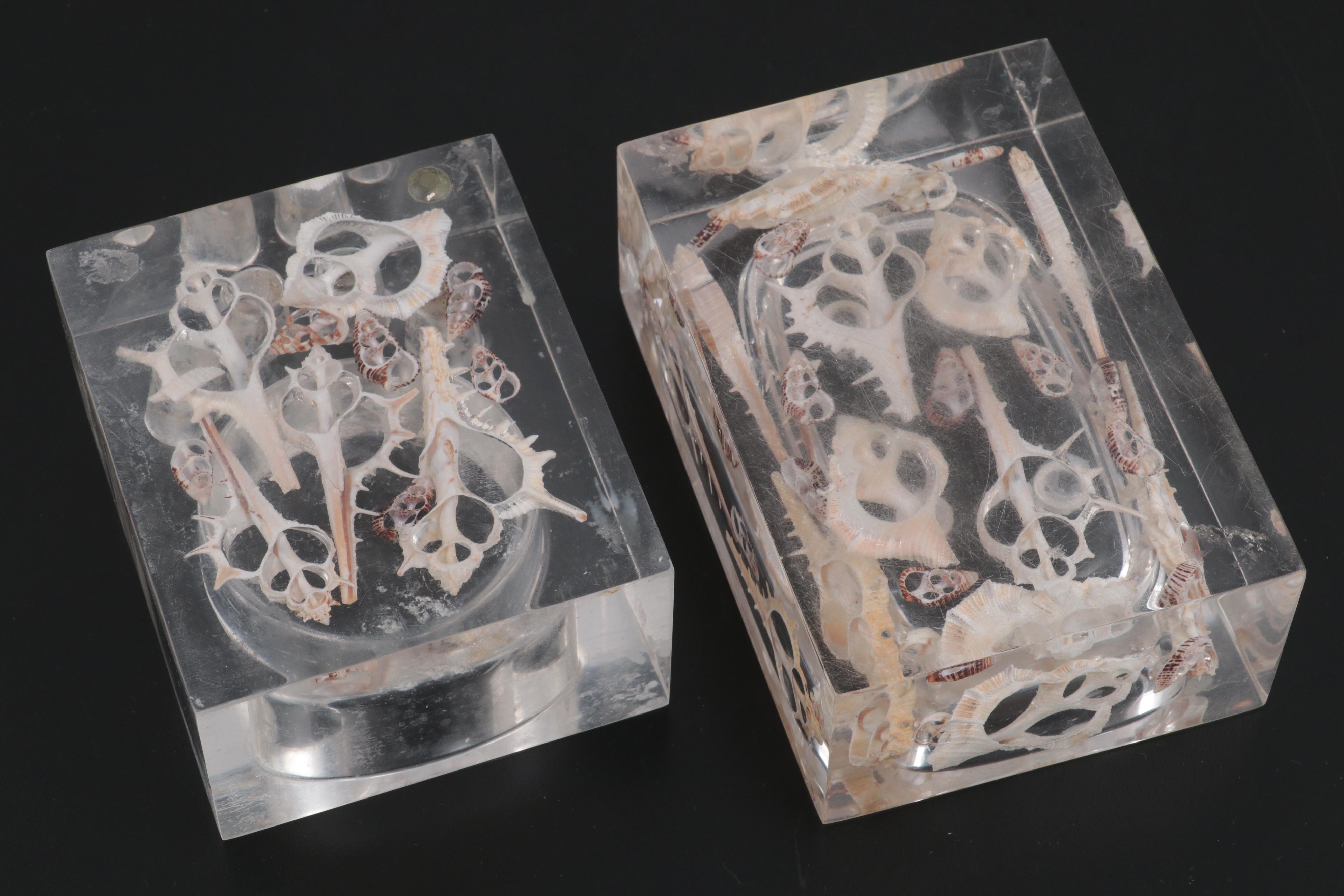 Acrylic With Sliced Seashells Bathroom Vanity Set | EBTH