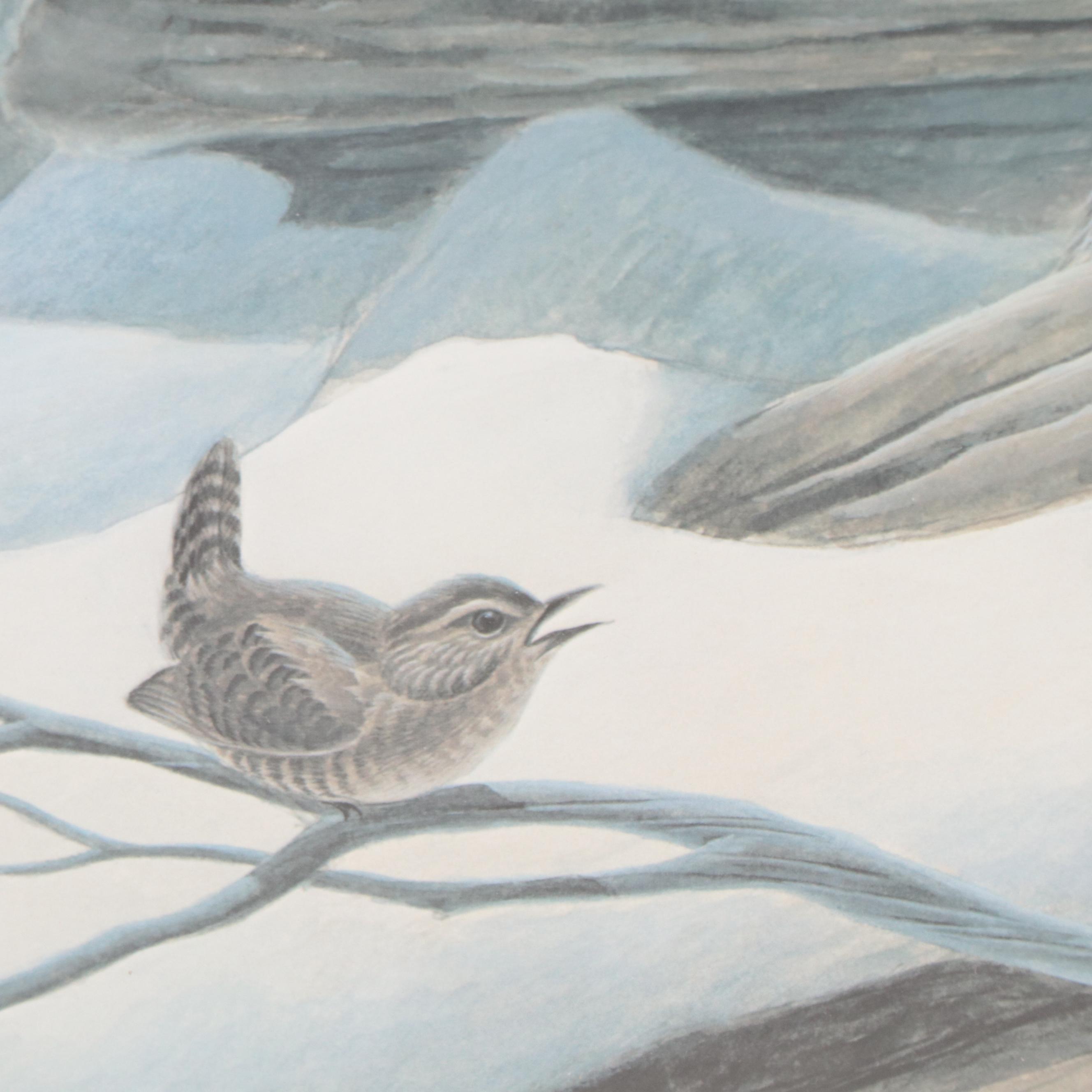 John Ruthven Offset Lithograph "Raccoon" | EBTH