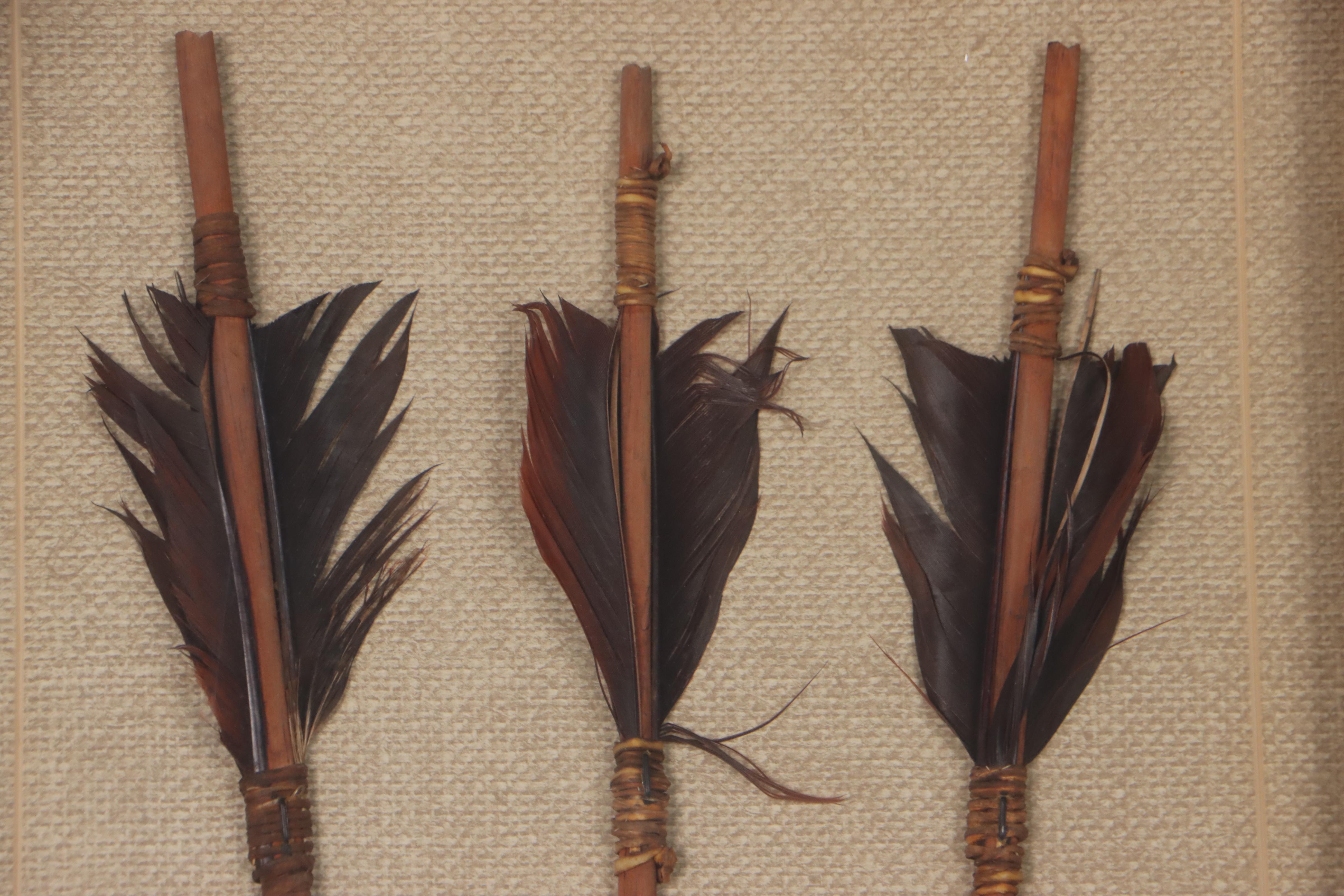Native American Plains Style Metal-Tipped Reed Arrows in Frame | EBTH
