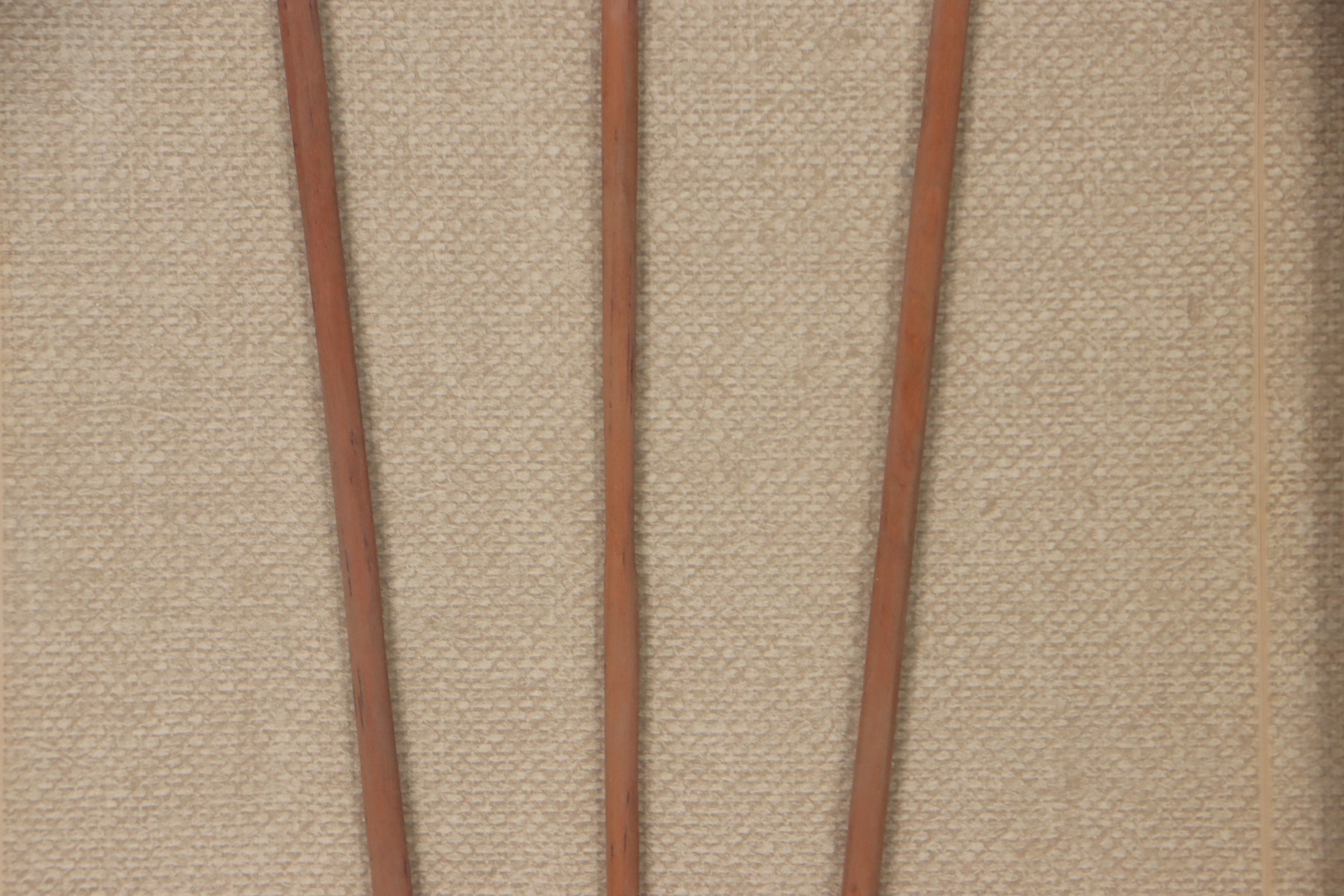 Native American Plains Style Metal-Tipped Reed Arrows in Frame | EBTH