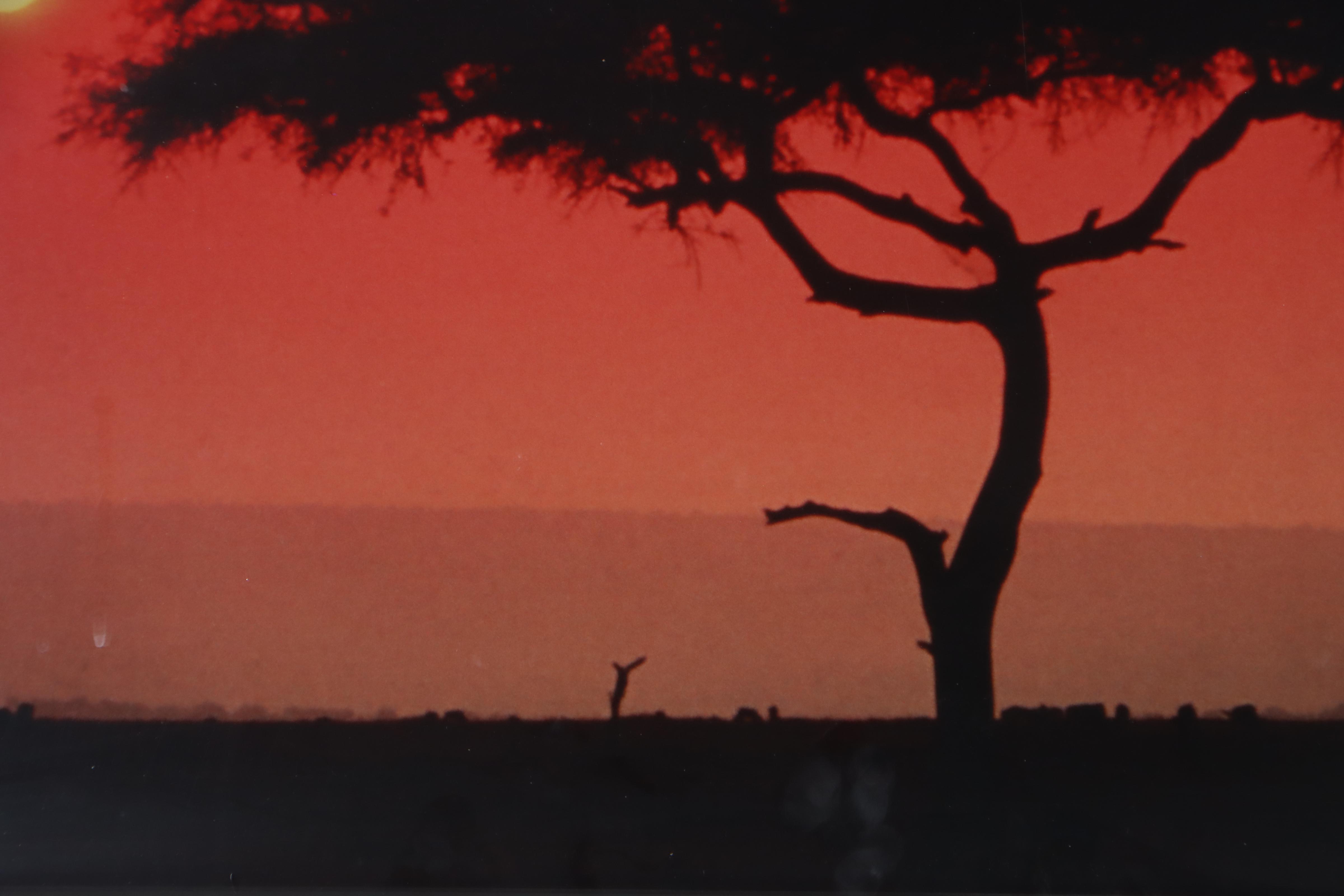 Chromogenic Color Photograph of African Desert Landscape | EBTH