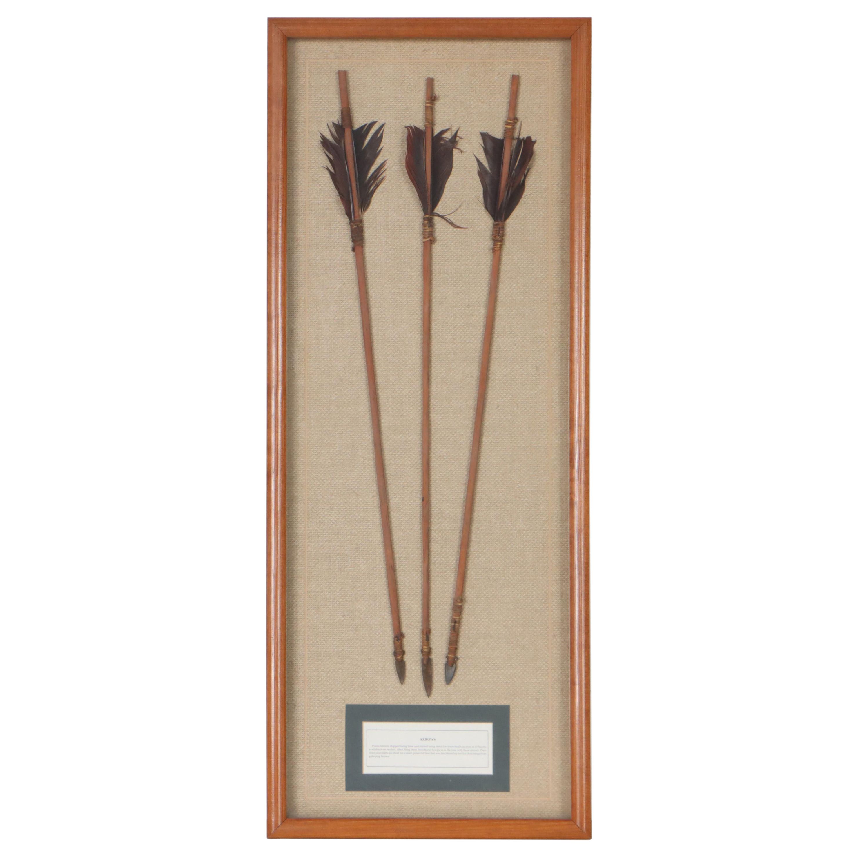 Native American Plains Style Metal-Tipped Reed Arrows in Frame | EBTH