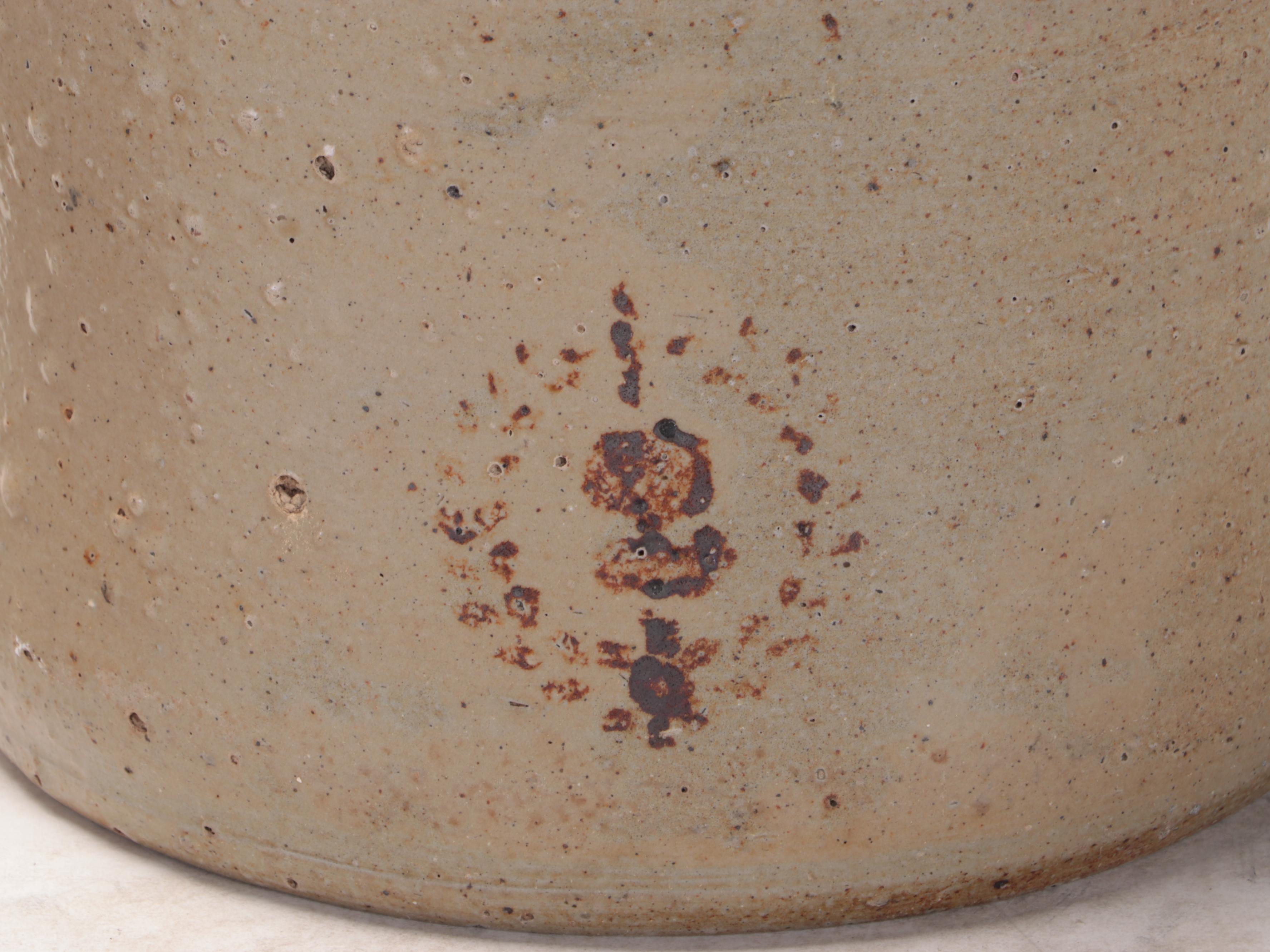 Wm. Radam Microbe Killer Jug with Two-Gallon Salt Glazed Stoneware ...