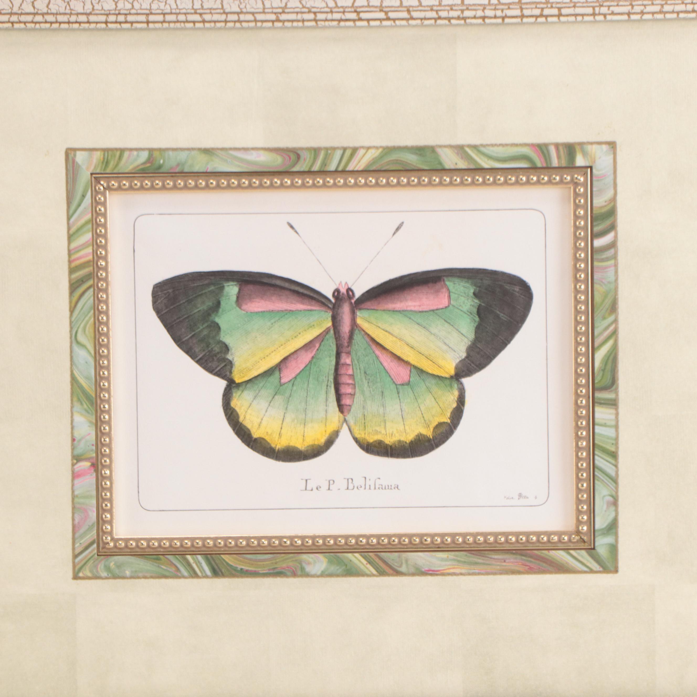 Butterfly Hand-Colored Lithographs | EBTH