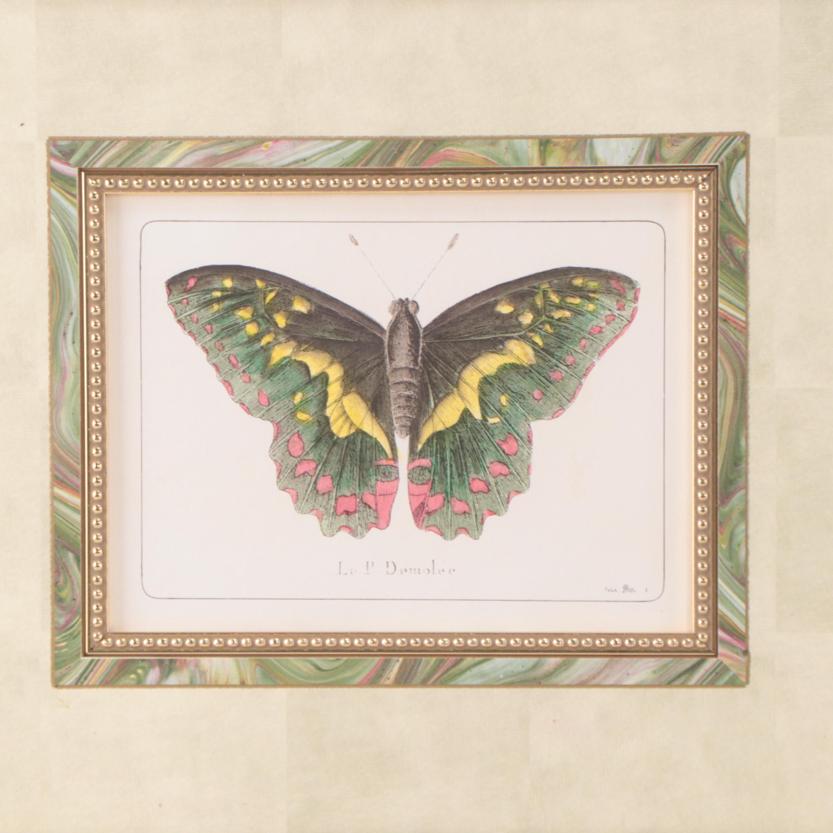 Butterfly Hand-Colored Lithographs | EBTH
