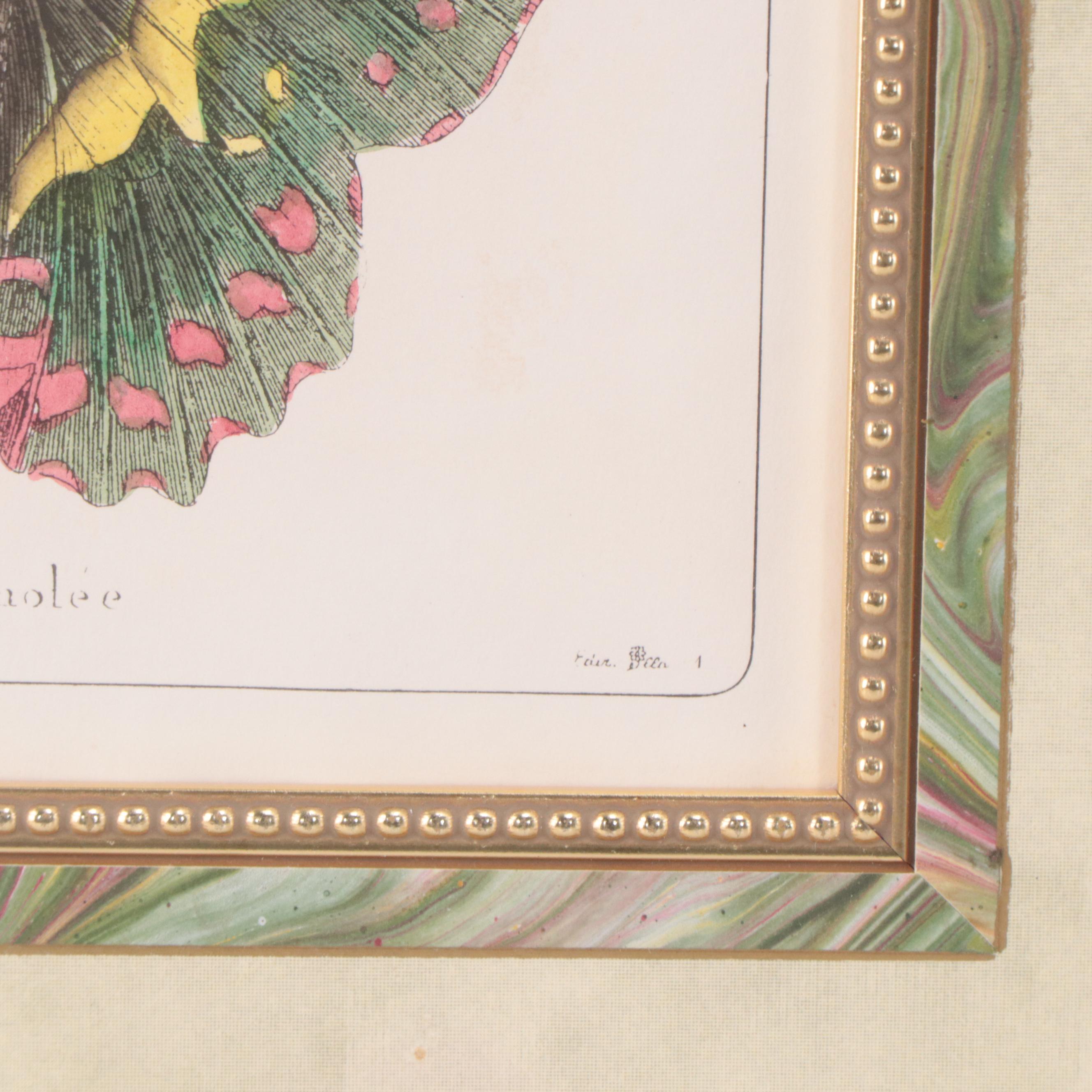 Butterfly Hand-Colored Lithographs | EBTH