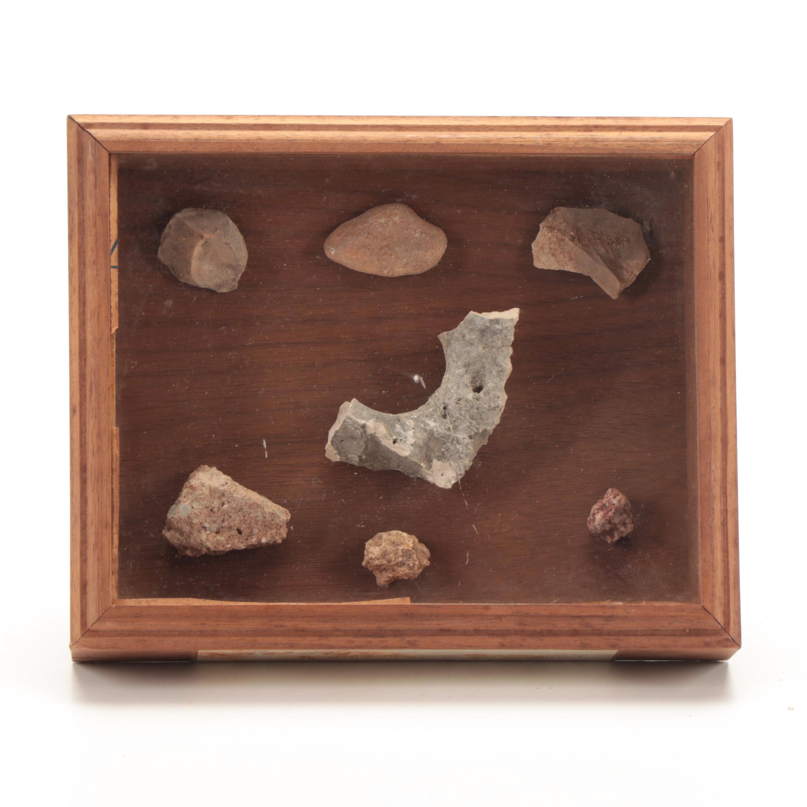 North American Fossil Bone, Knapped Stones, and Other Mineral Specimens ...