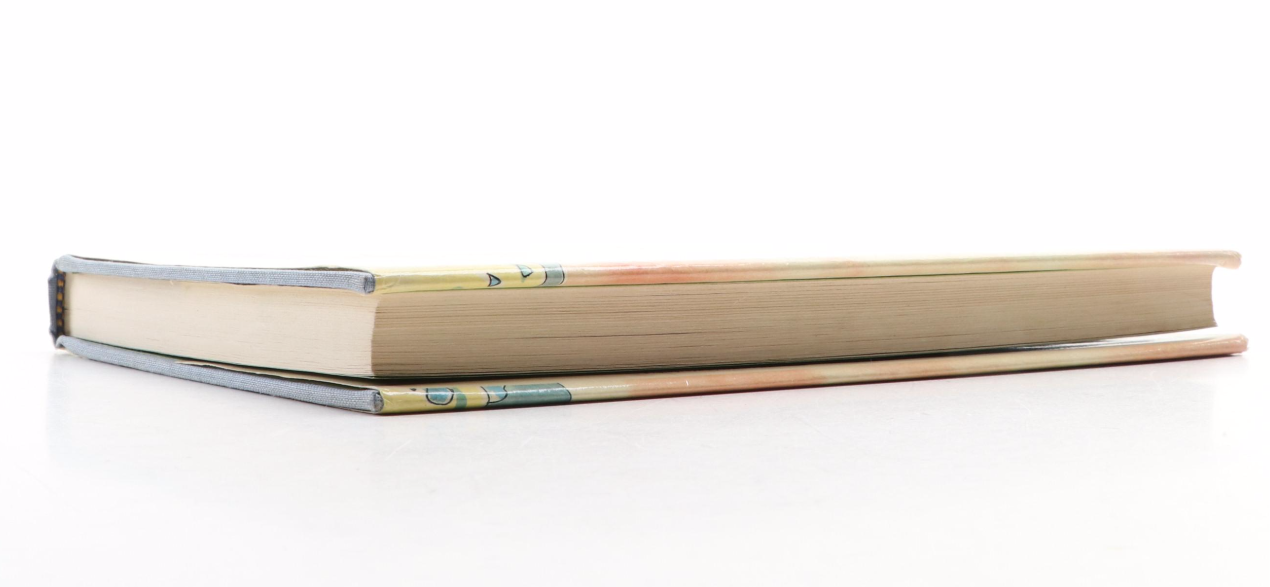 Second American Printing "The BFG" by Roald Dahl, 1984 | EBTH