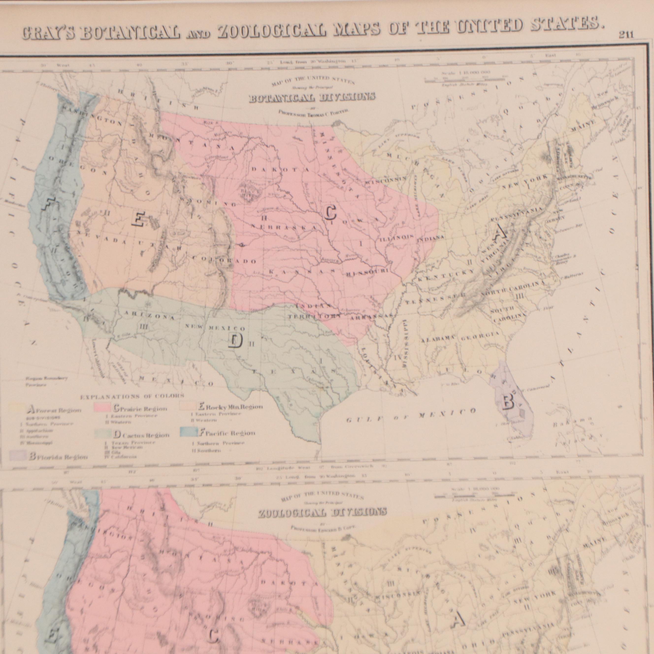 "Gray's Botanical and Zoological Maps of the United States" Map, Circa ...
