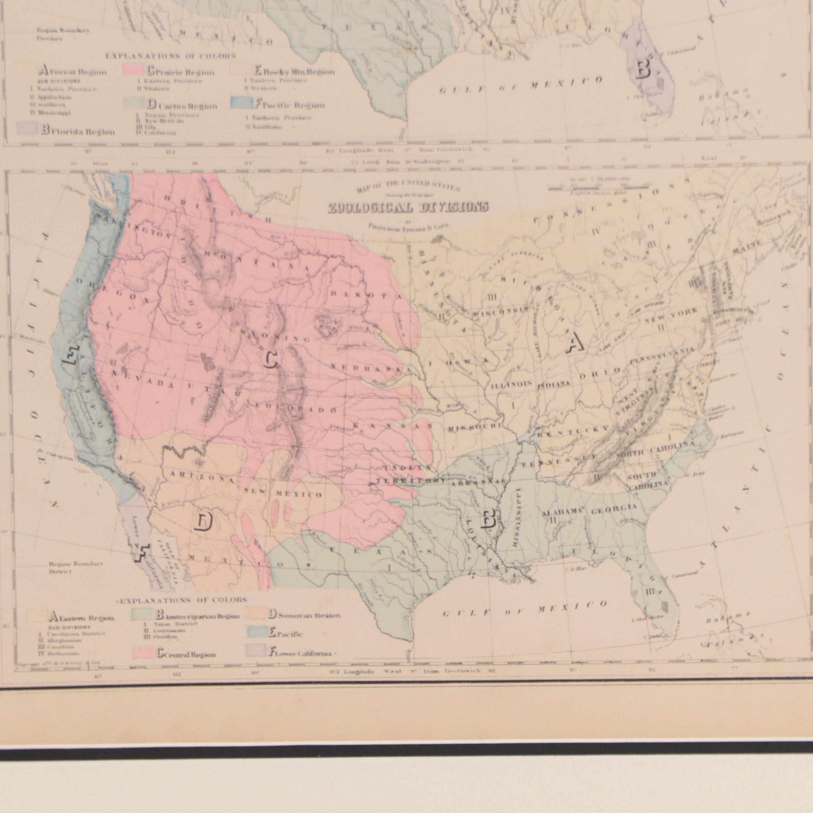 "Gray's Botanical and Zoological Maps of the United States" Map, Circa ...