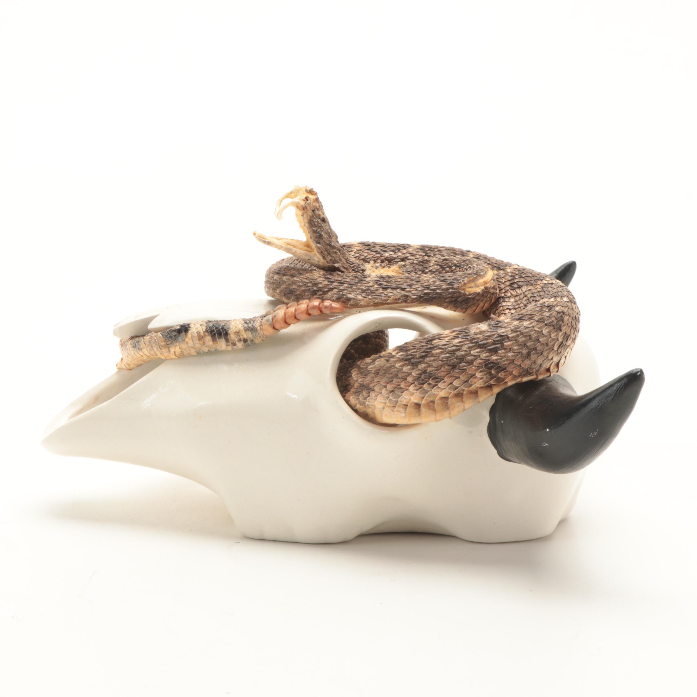 Western Diamondback Rattlesnake Full Body Mount in Ceramic Cow Skull | EBTH