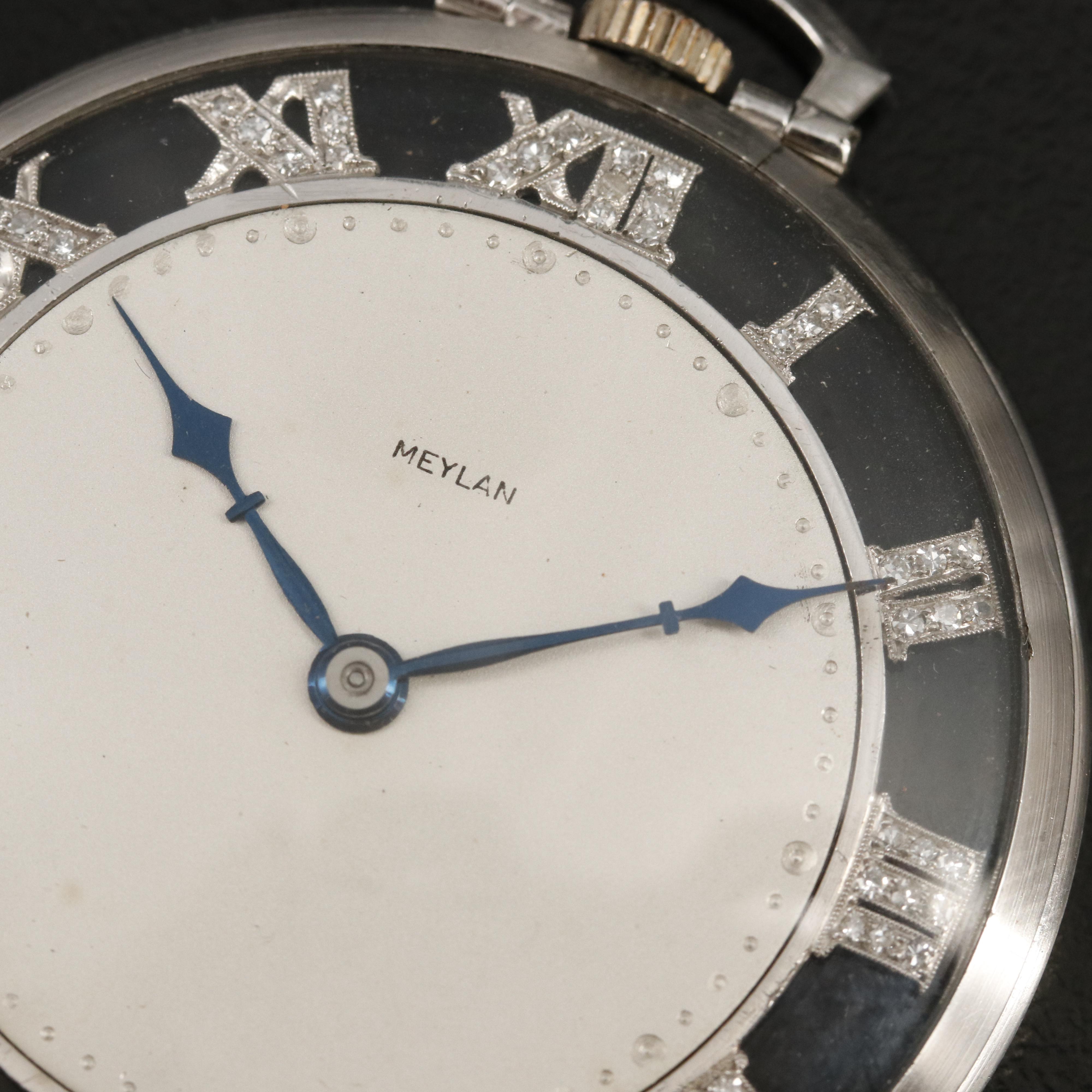 Platinum Meylan Diamond Pocket Watch | EBTH