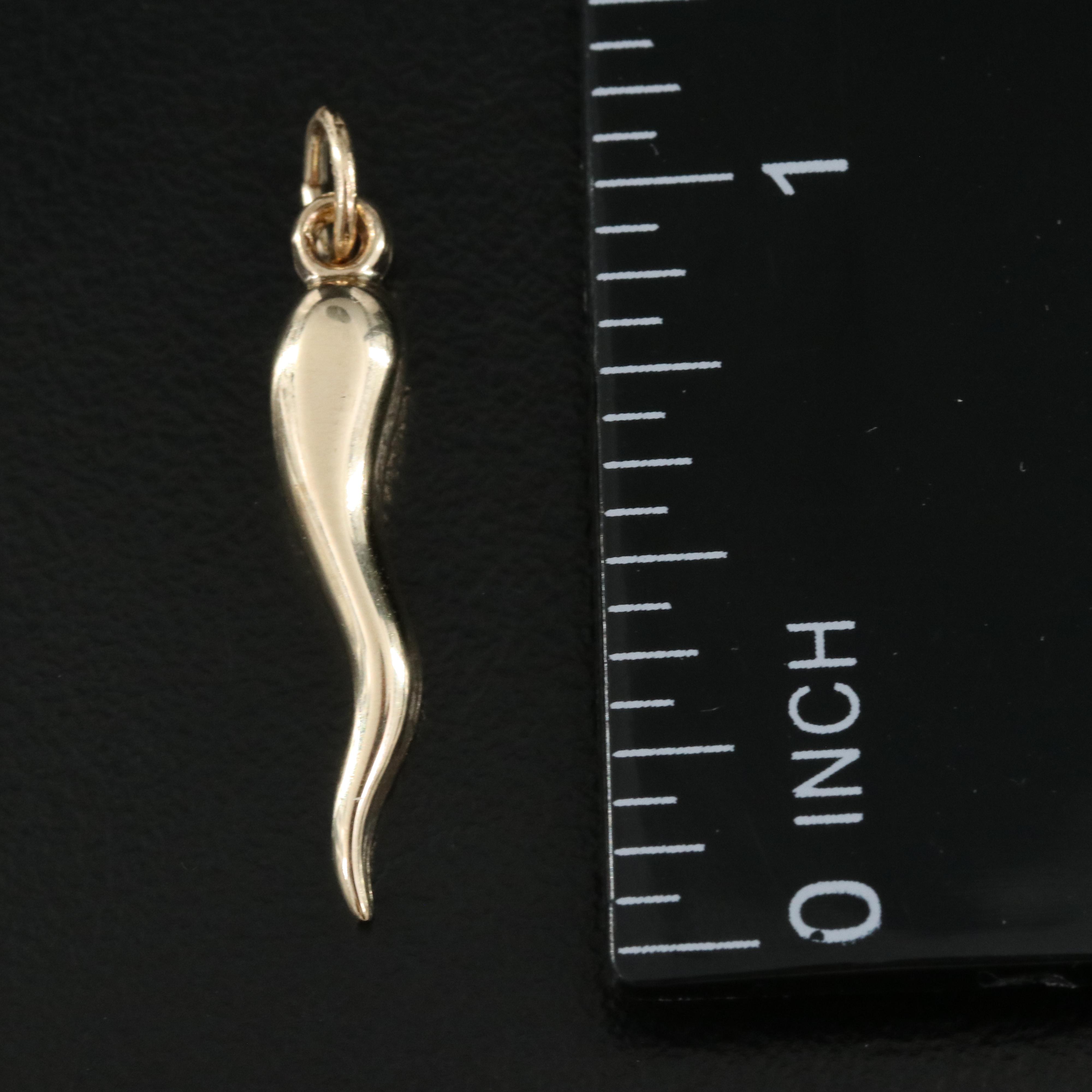 14K Italian Cornicello Pendant | EBTH