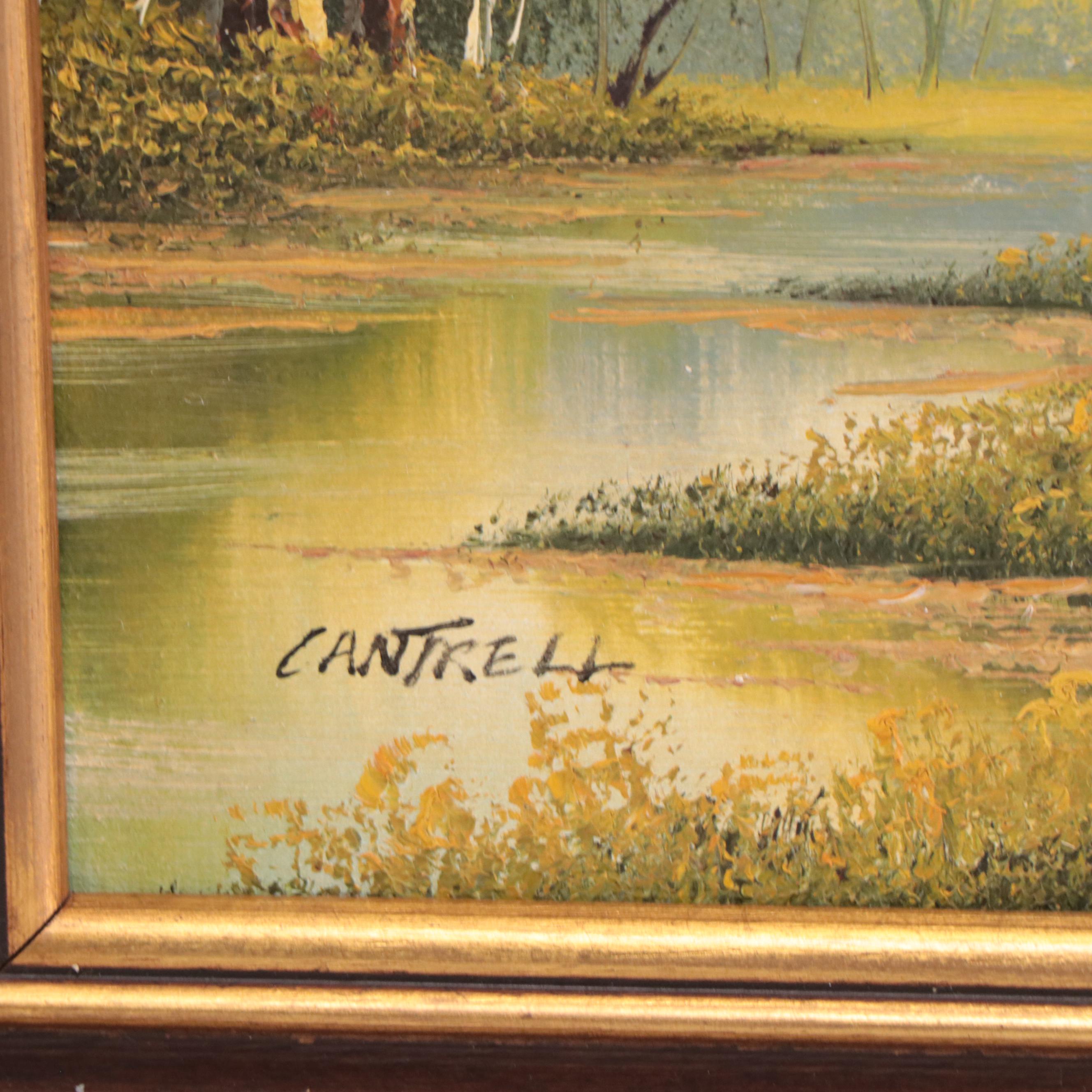 Phillip Cantrell Oil Painting of Forest Scene | EBTH