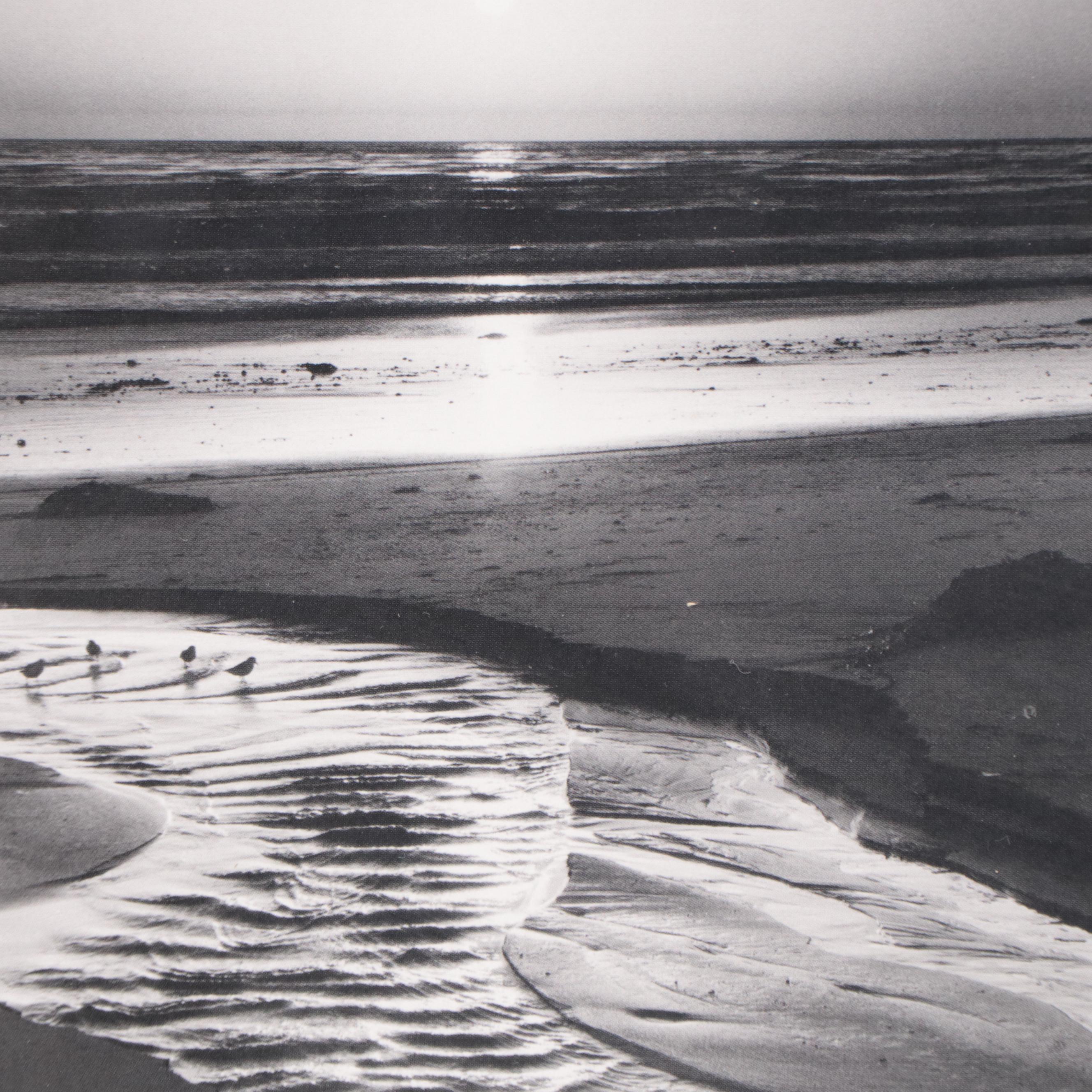 Offset Lithographs After Ansel Adams "Fiat Lux: Ansel Adams Trilogy" | EBTH