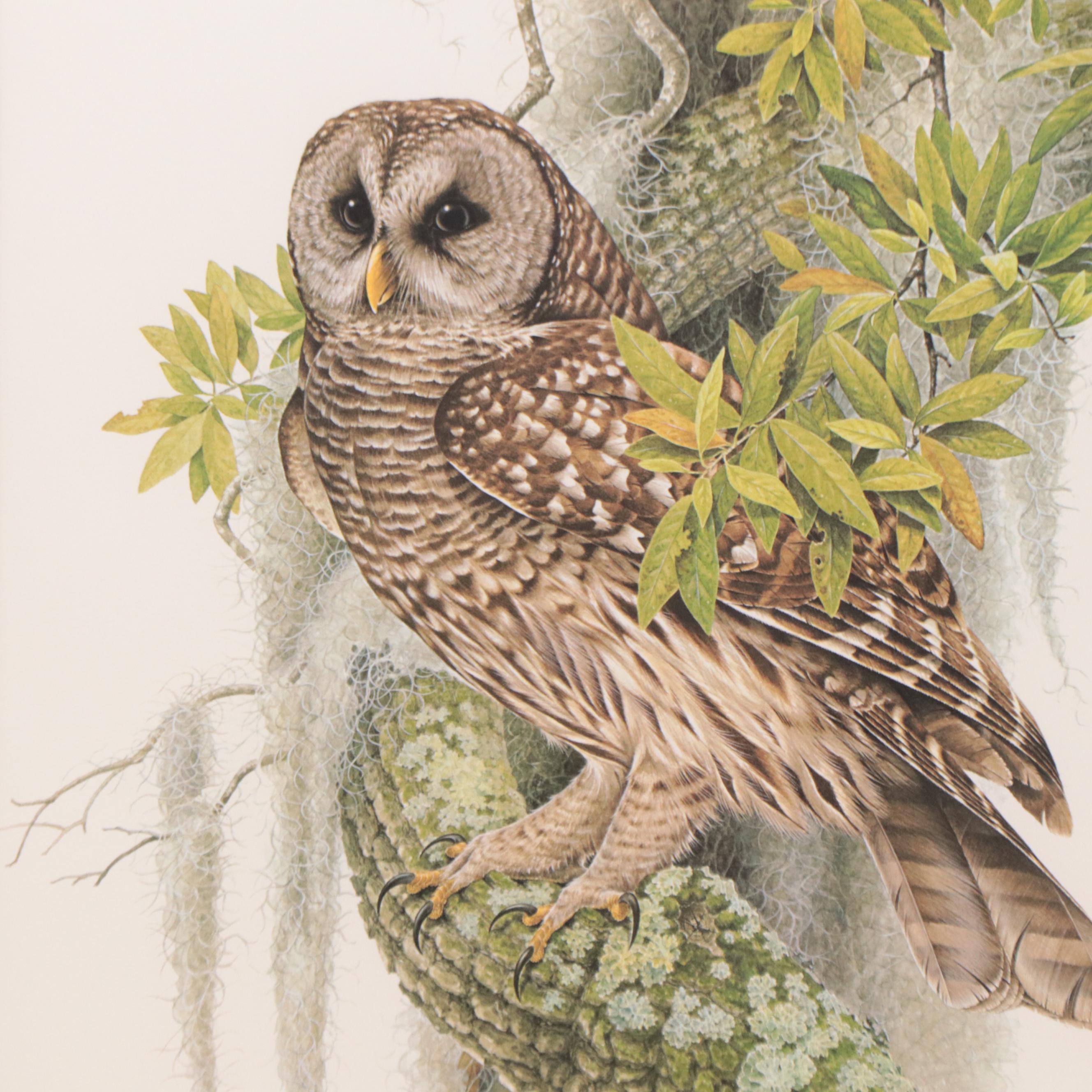 Don Whitlatch Offset Lithograph "Barred Owl," 1979 | EBTH