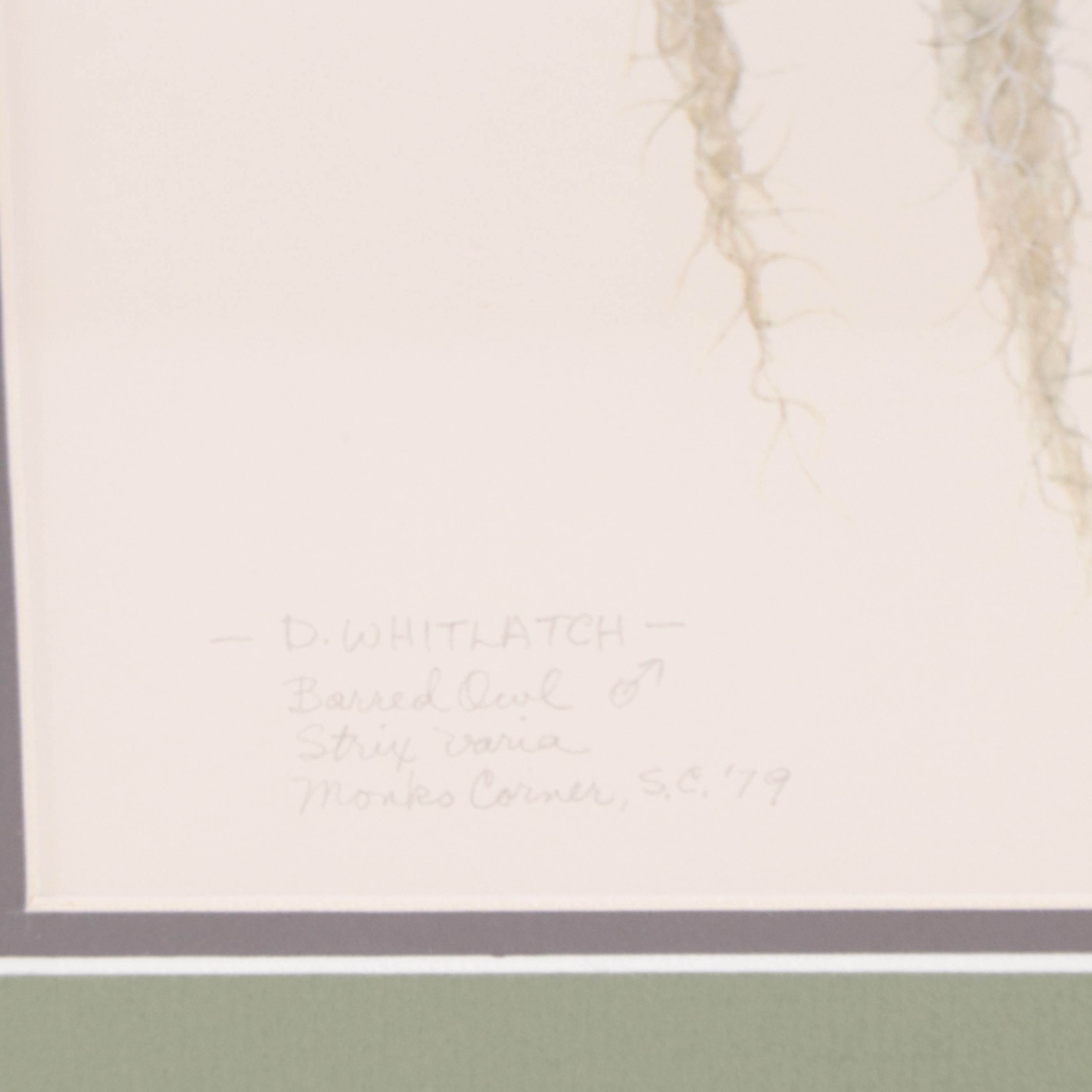 Don Whitlatch Offset Lithograph "Barred Owl," 1979 | EBTH