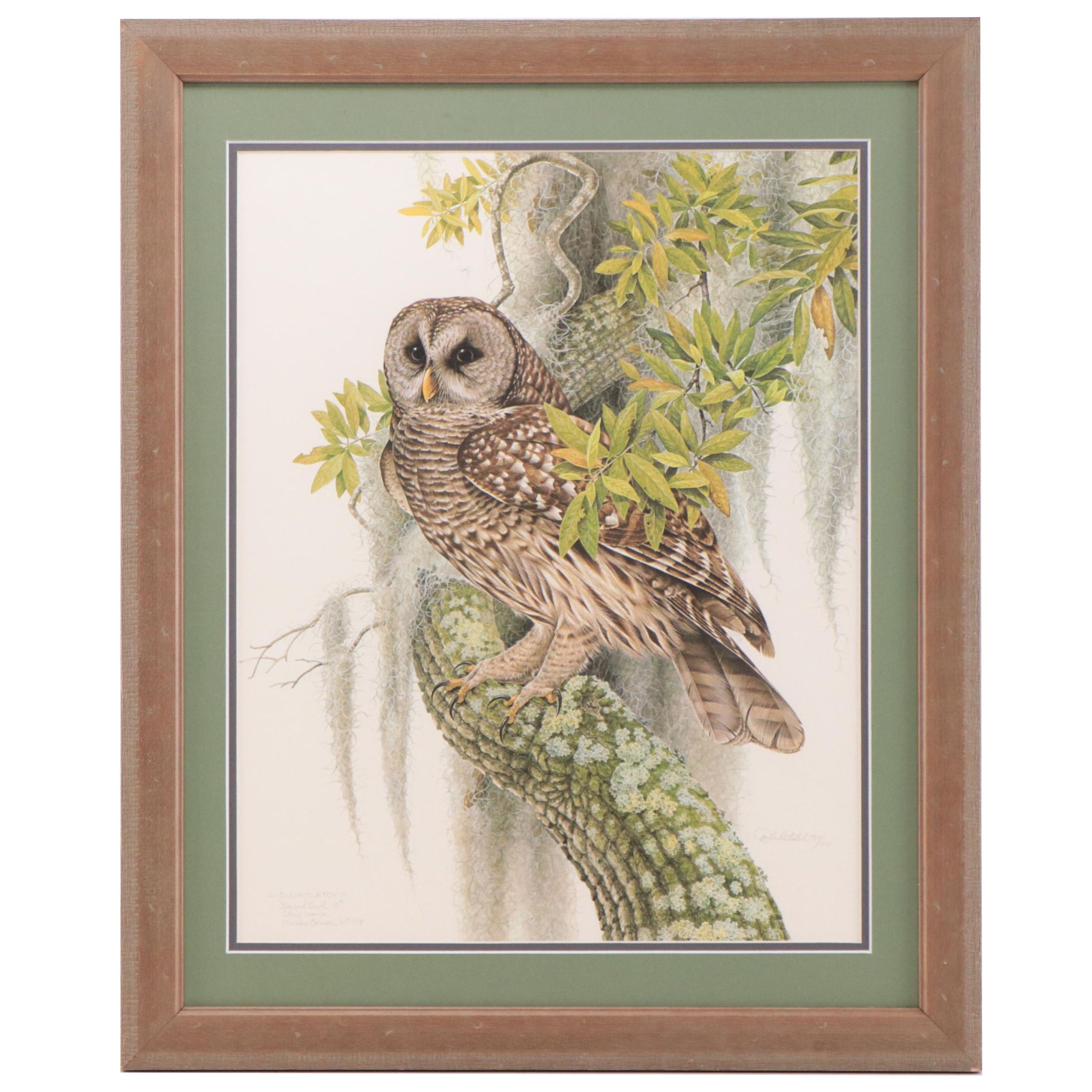 Don Whitlatch Offset Lithograph "Barred Owl," 1979 | EBTH