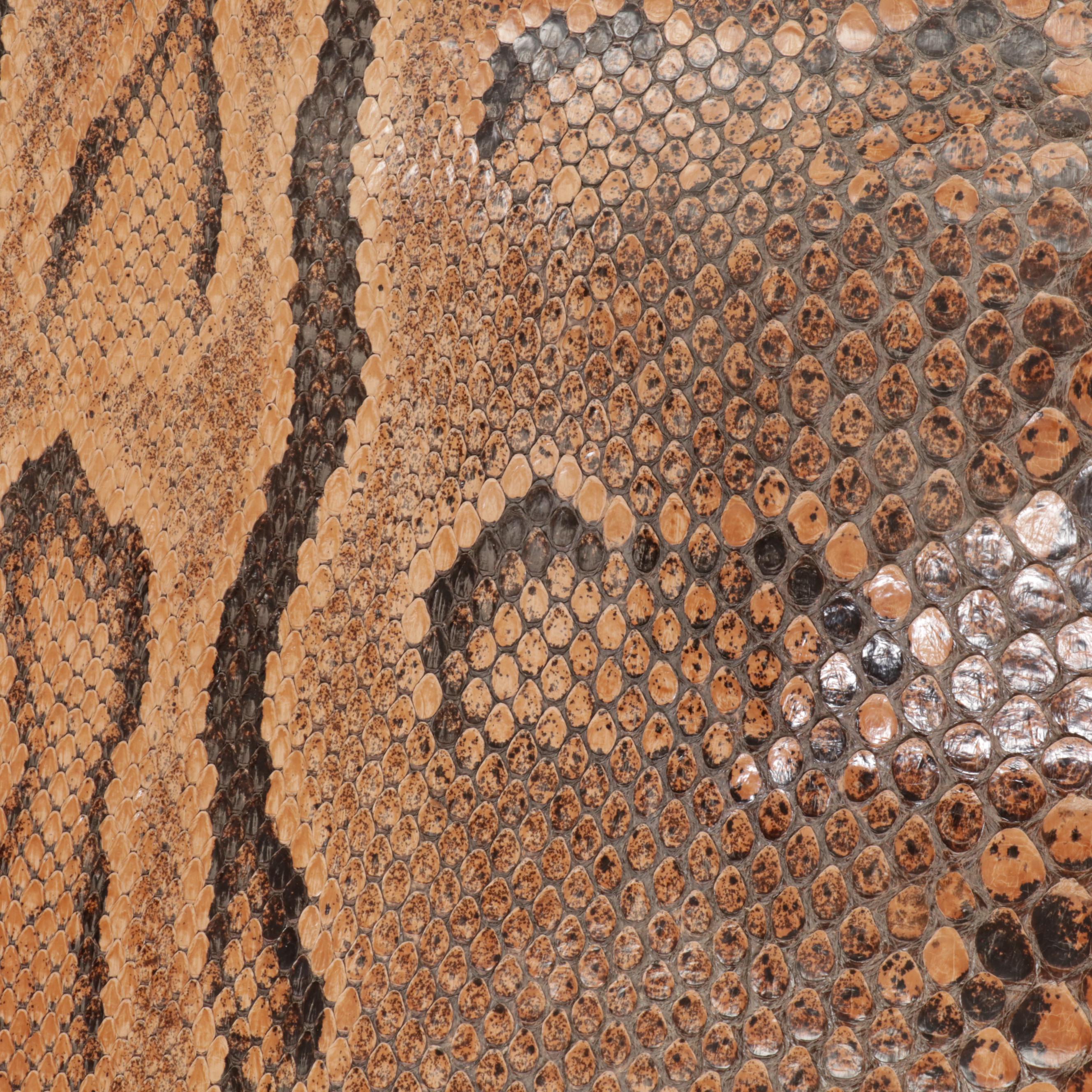 Ball Python Snakeskin Hide | EBTH