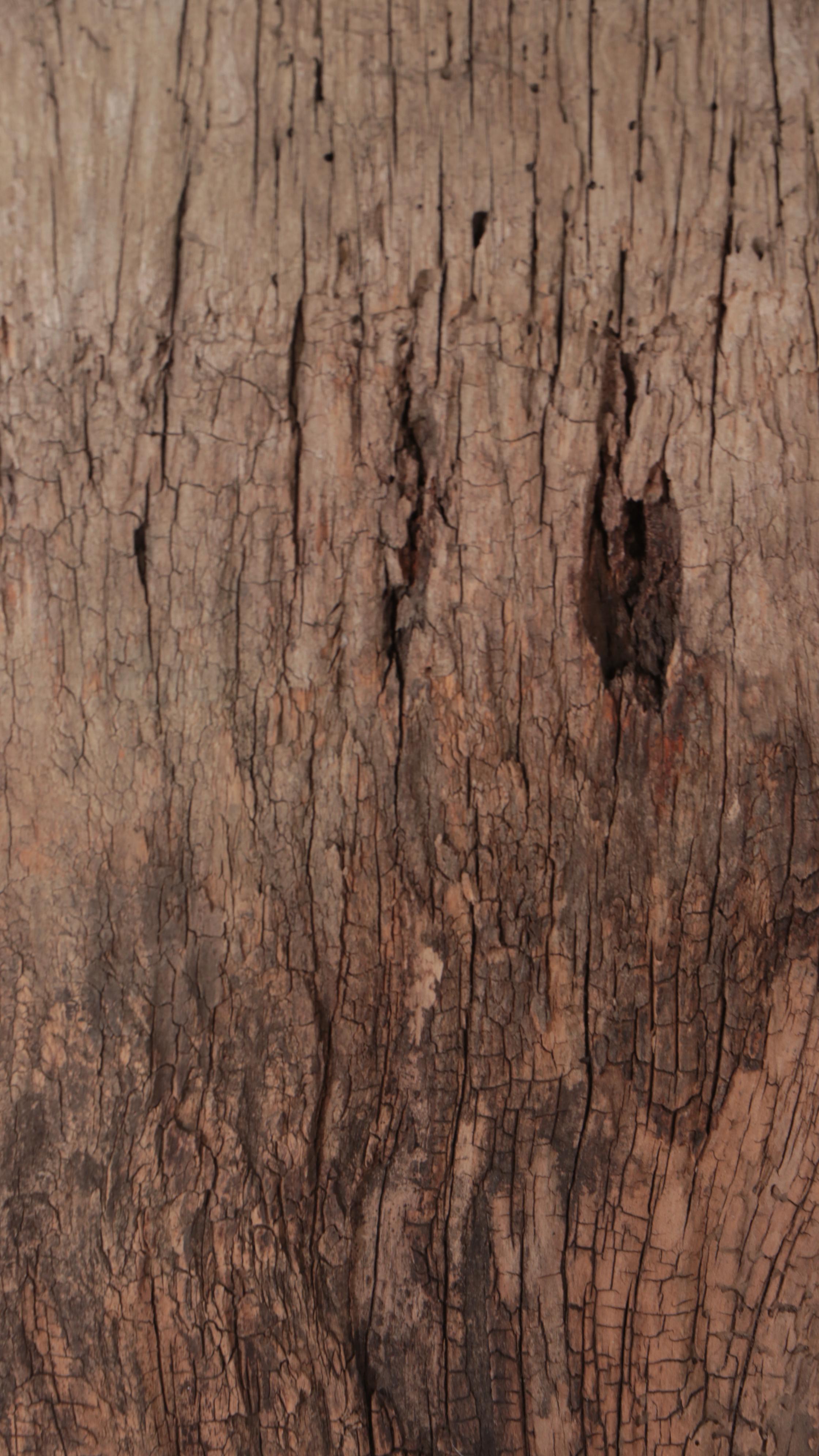 Bontoc Pine Hut Post, North Luzon Island, Philippines, Mid-20th C | EBTH