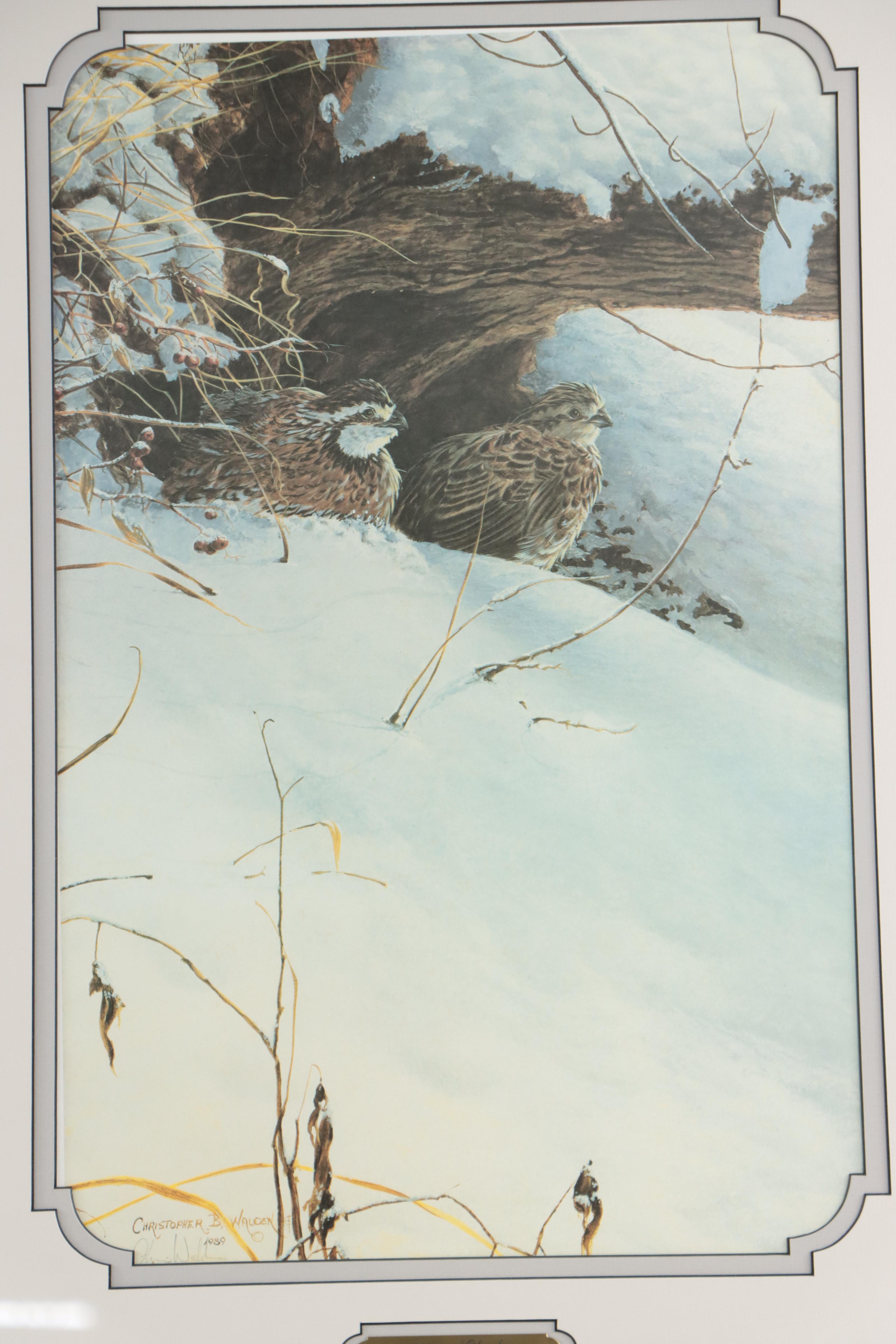 Christopher B. Walden Offset Lithographs of Birds Including "Snowed ...