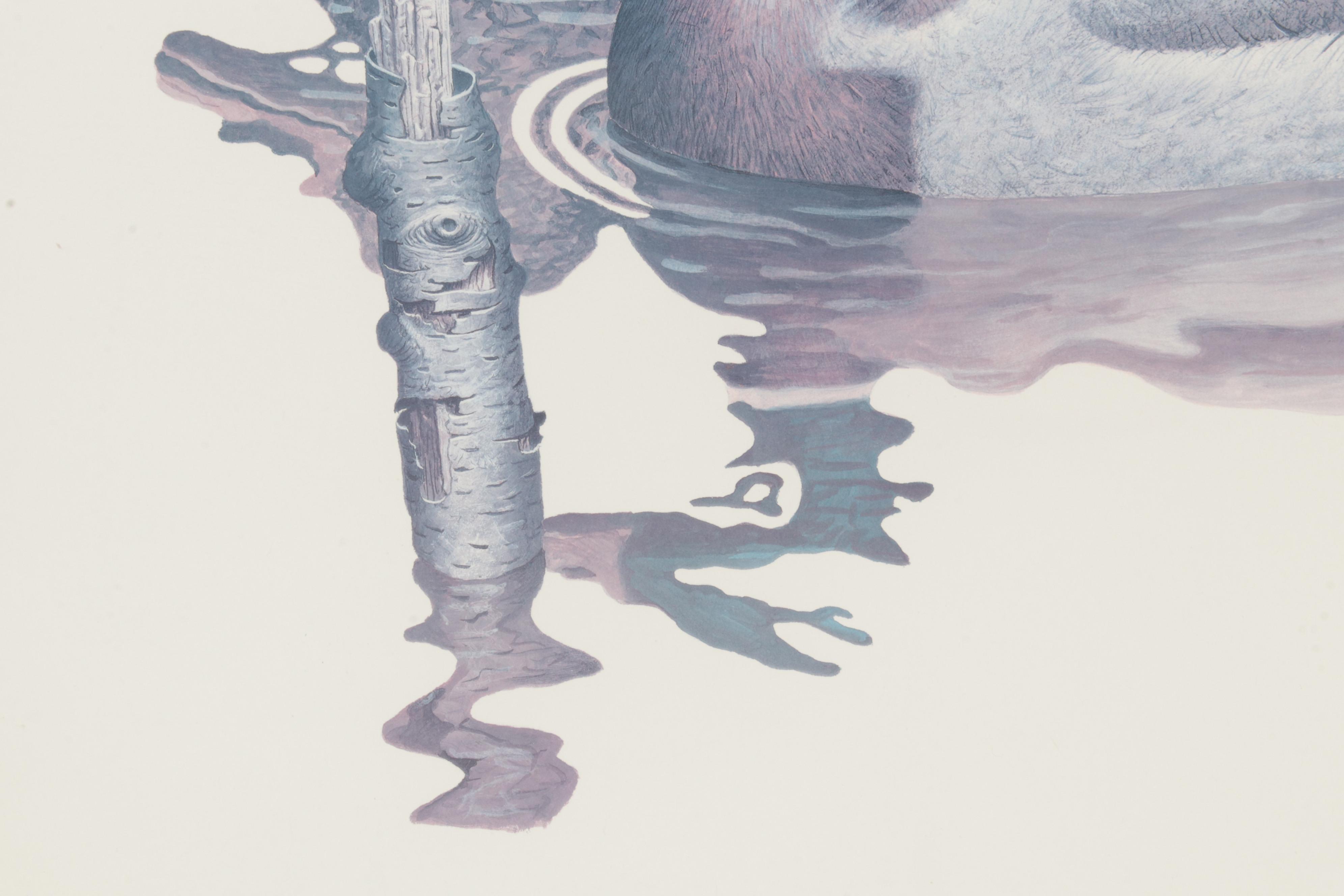 Ornithology Offset Lithographs After Brian Wheeler and Charles Whymper ...