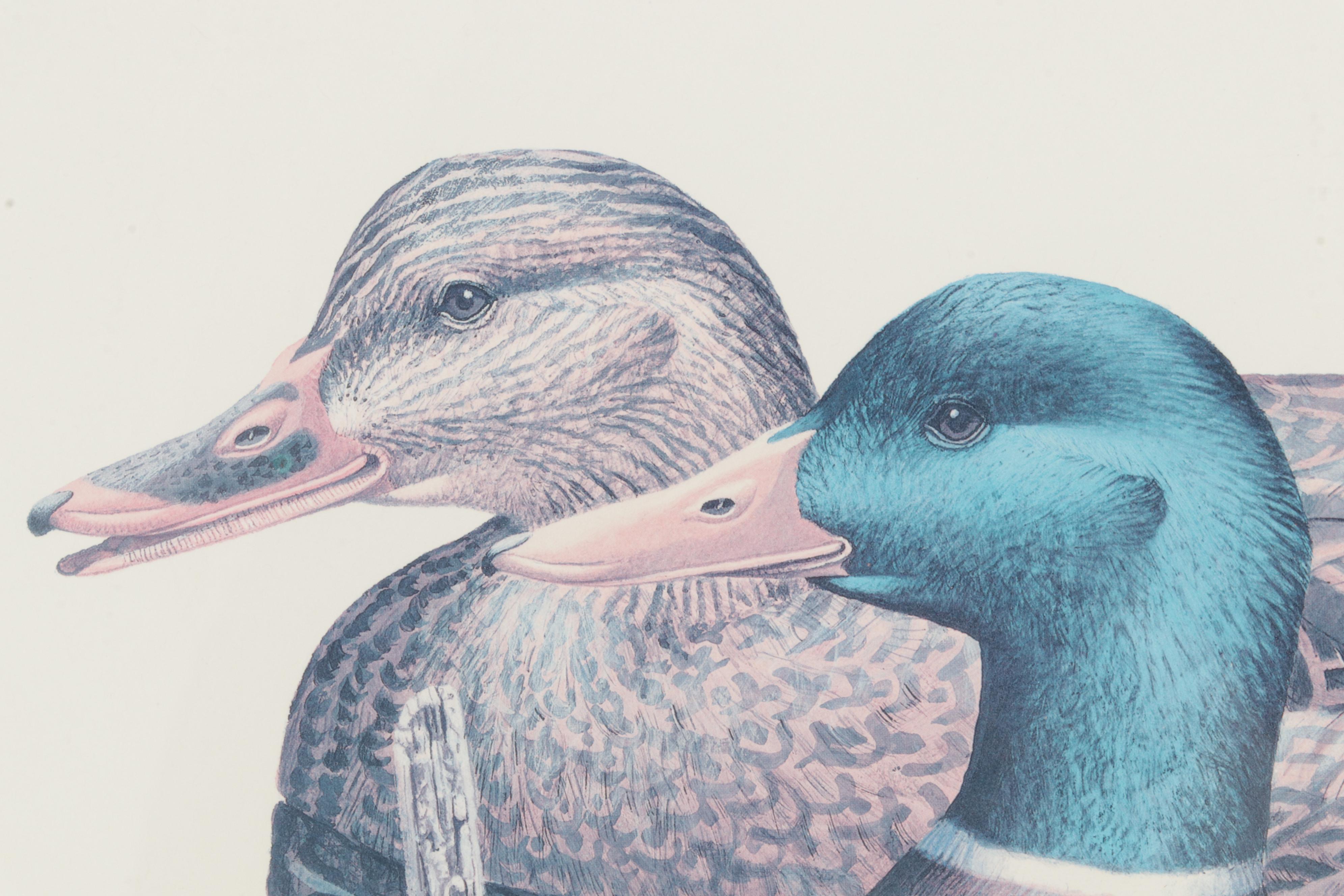 Ornithology Offset Lithographs After Brian Wheeler and Charles Whymper ...