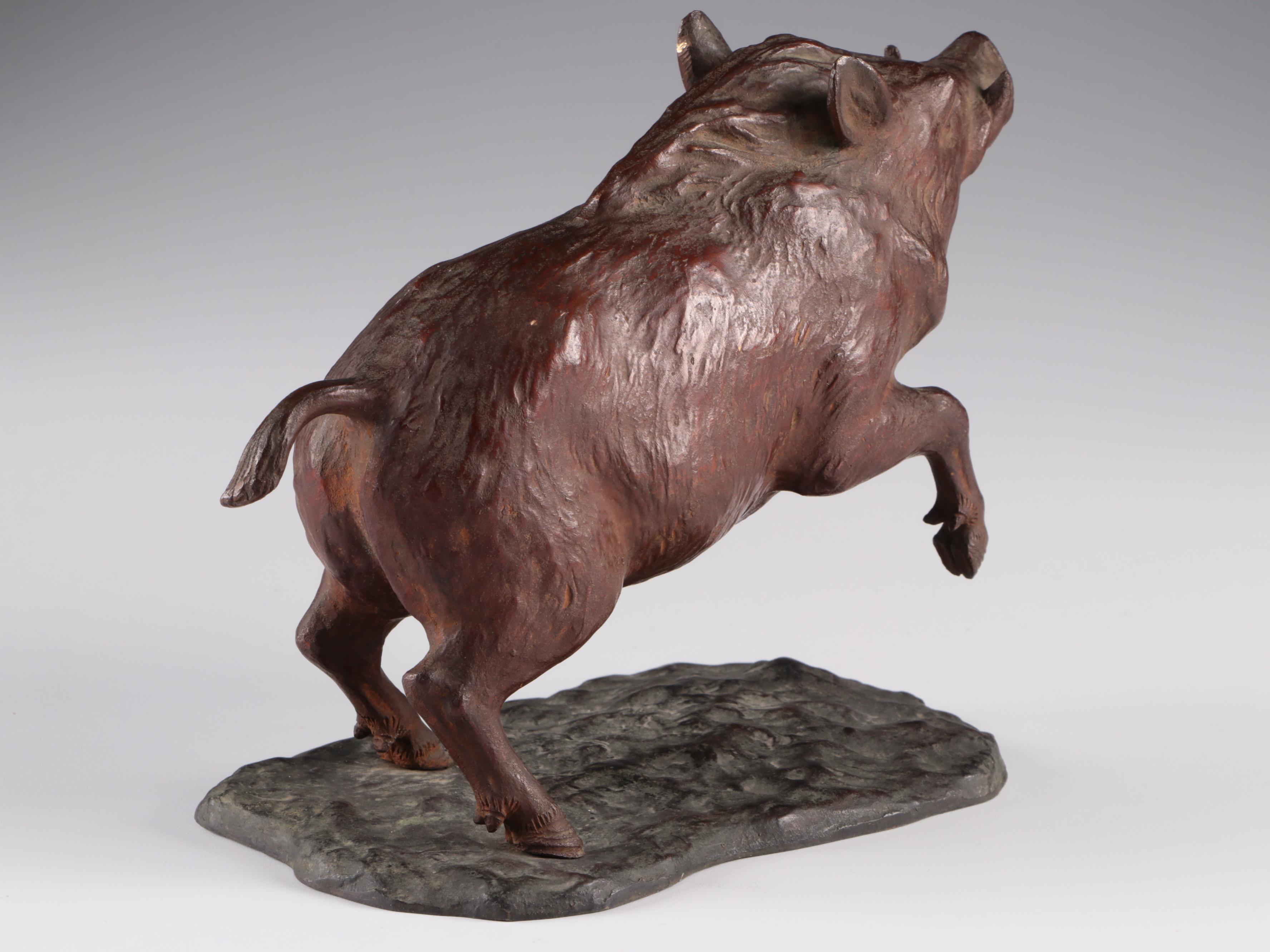 Large Austrian Cold Painted Bronze Wild Boar Figure, Late 19th Century ...