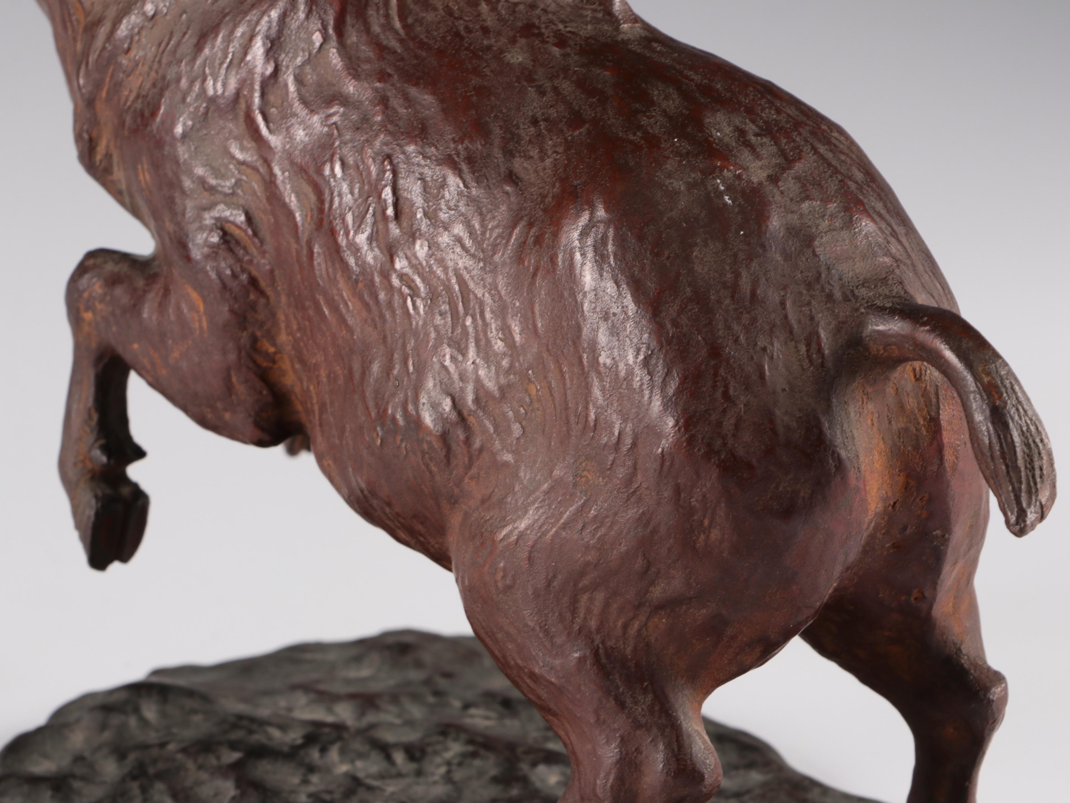 Large Austrian Cold Painted Bronze Wild Boar Figure, Late 19th Century ...