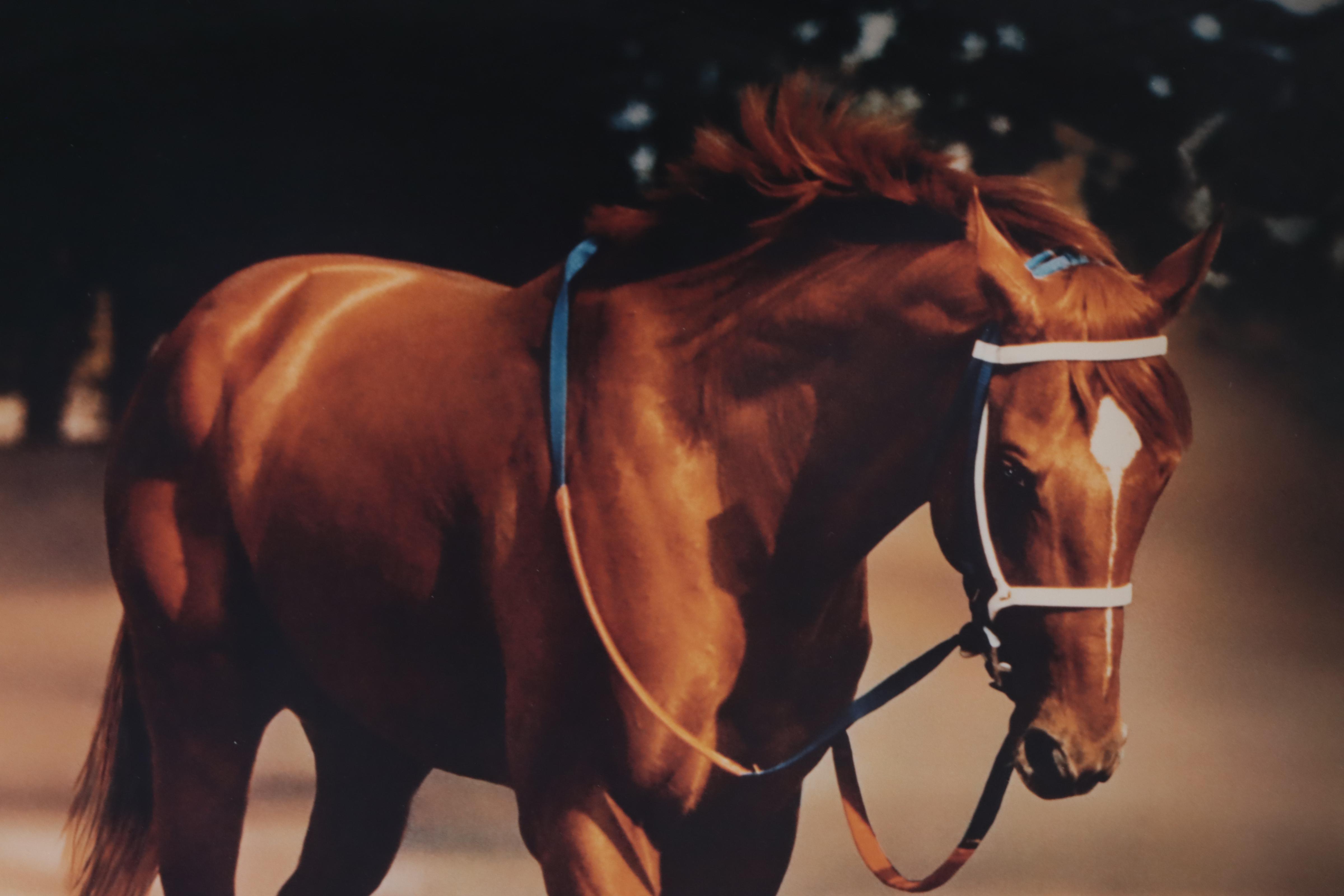 Tony Leonard Offset Lithograph "Secretariat: At the Belmont," 1973 | EBTH
