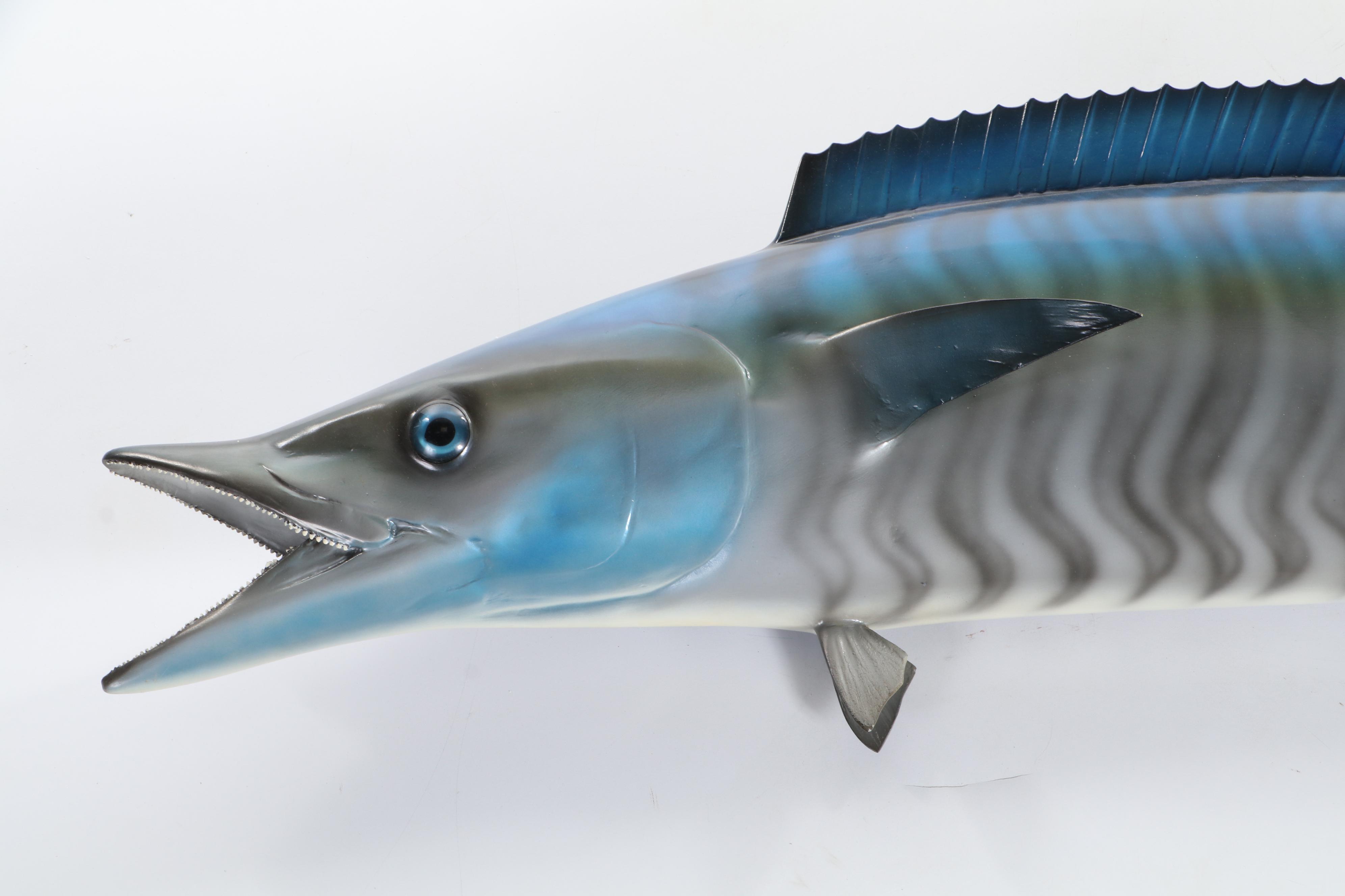 Taxidermy Fiberglass Replica Atlantic Wahoo Fish | EBTH