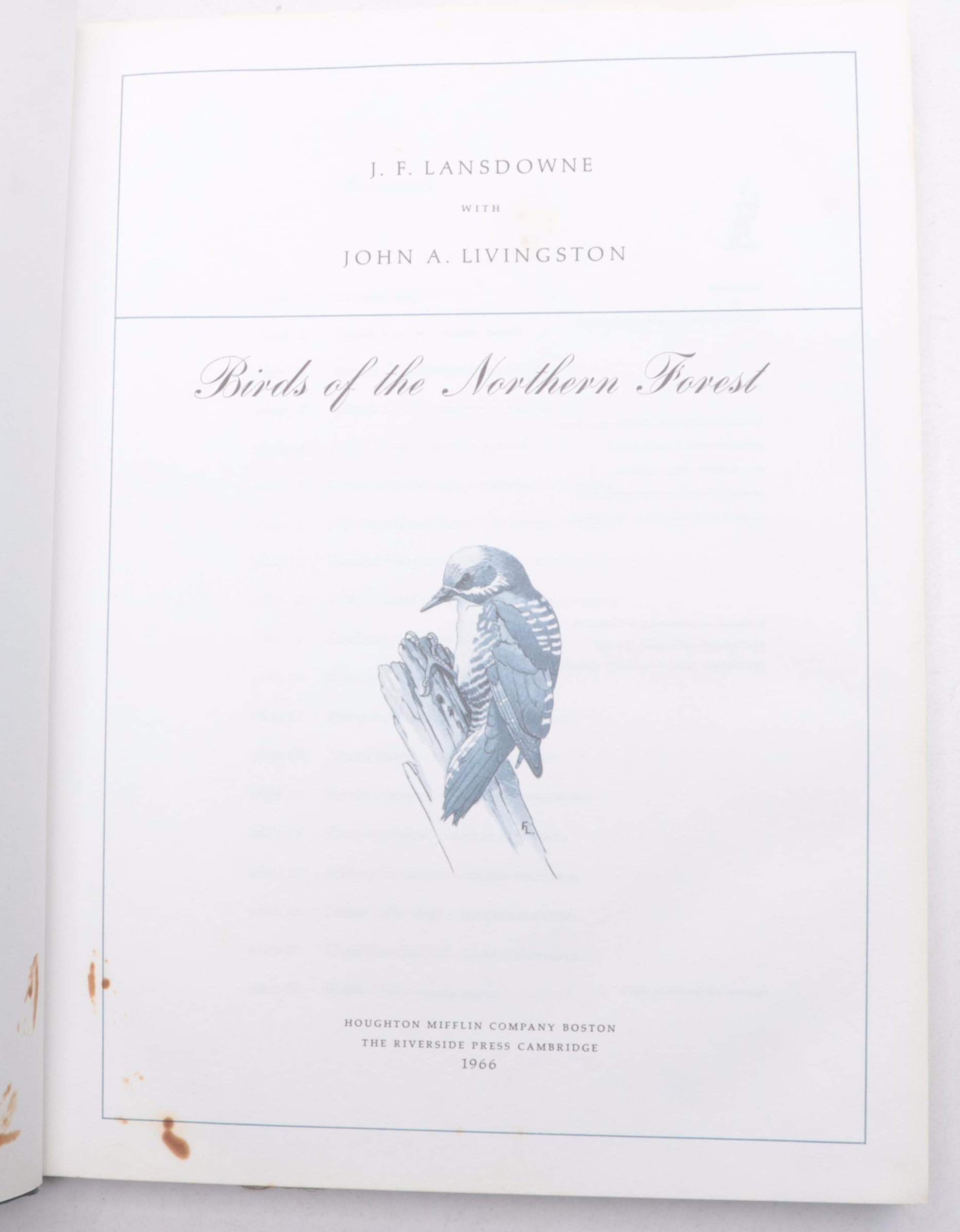 Illustrated "Birds of the Northern Forest" by James Fenwick Lansdowne ...