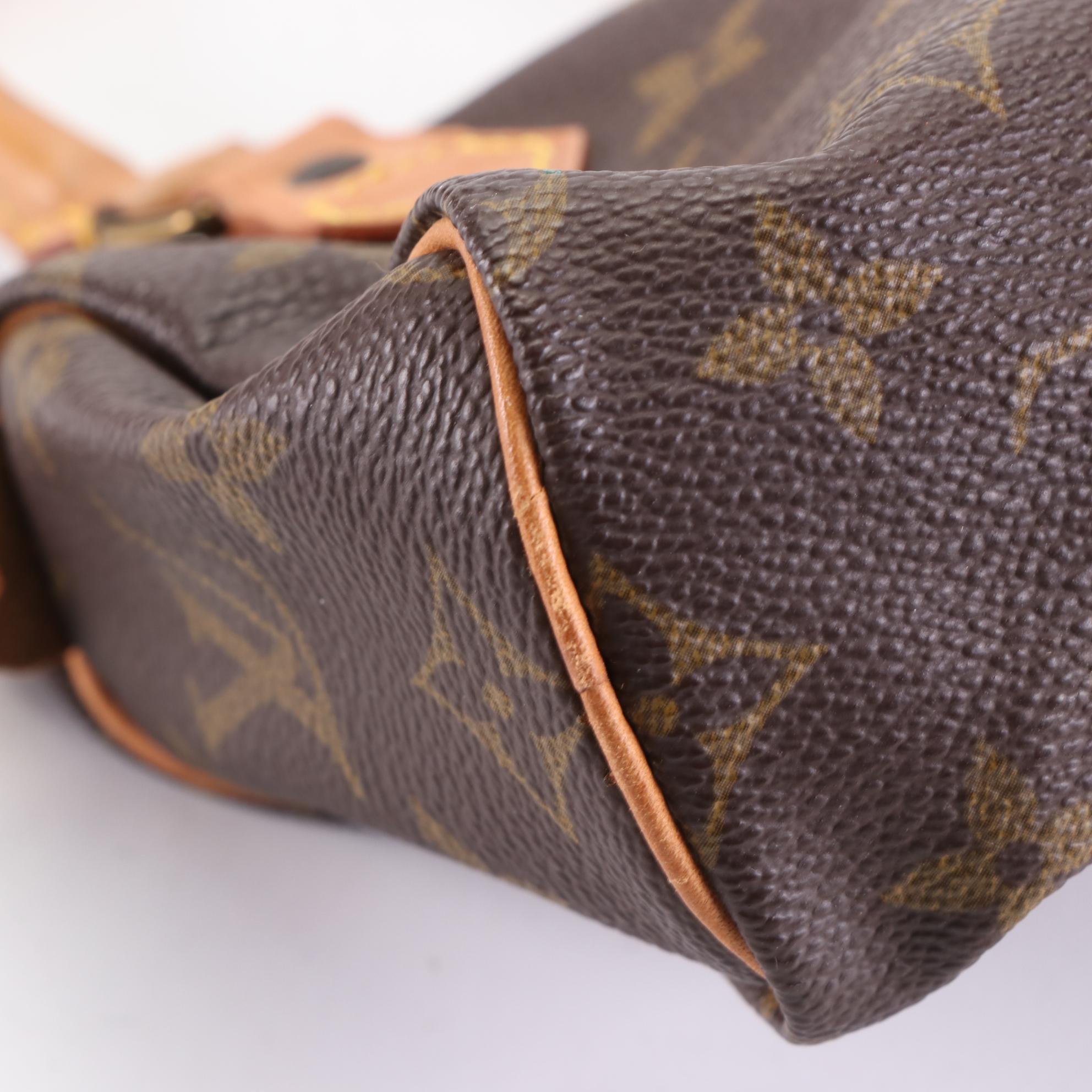 Louis Vuitton Mini Sac HL in Monogram Canvas and Vachetta Leather | EBTH