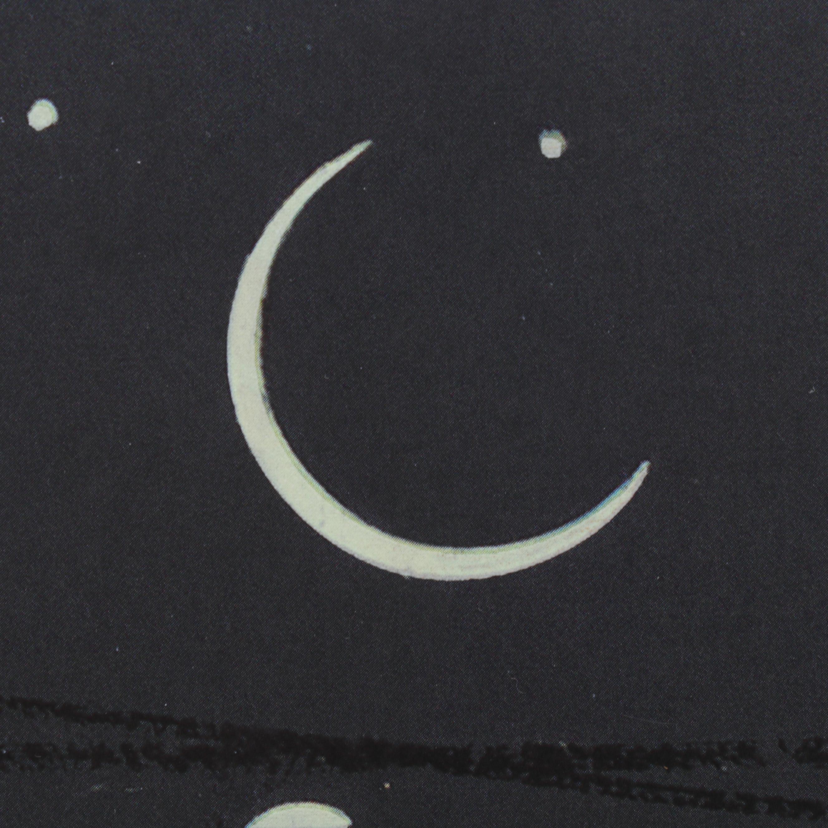 Glow-in-the-Dark Offset Lithograph After Charley Harper "Moon Jellies ...
