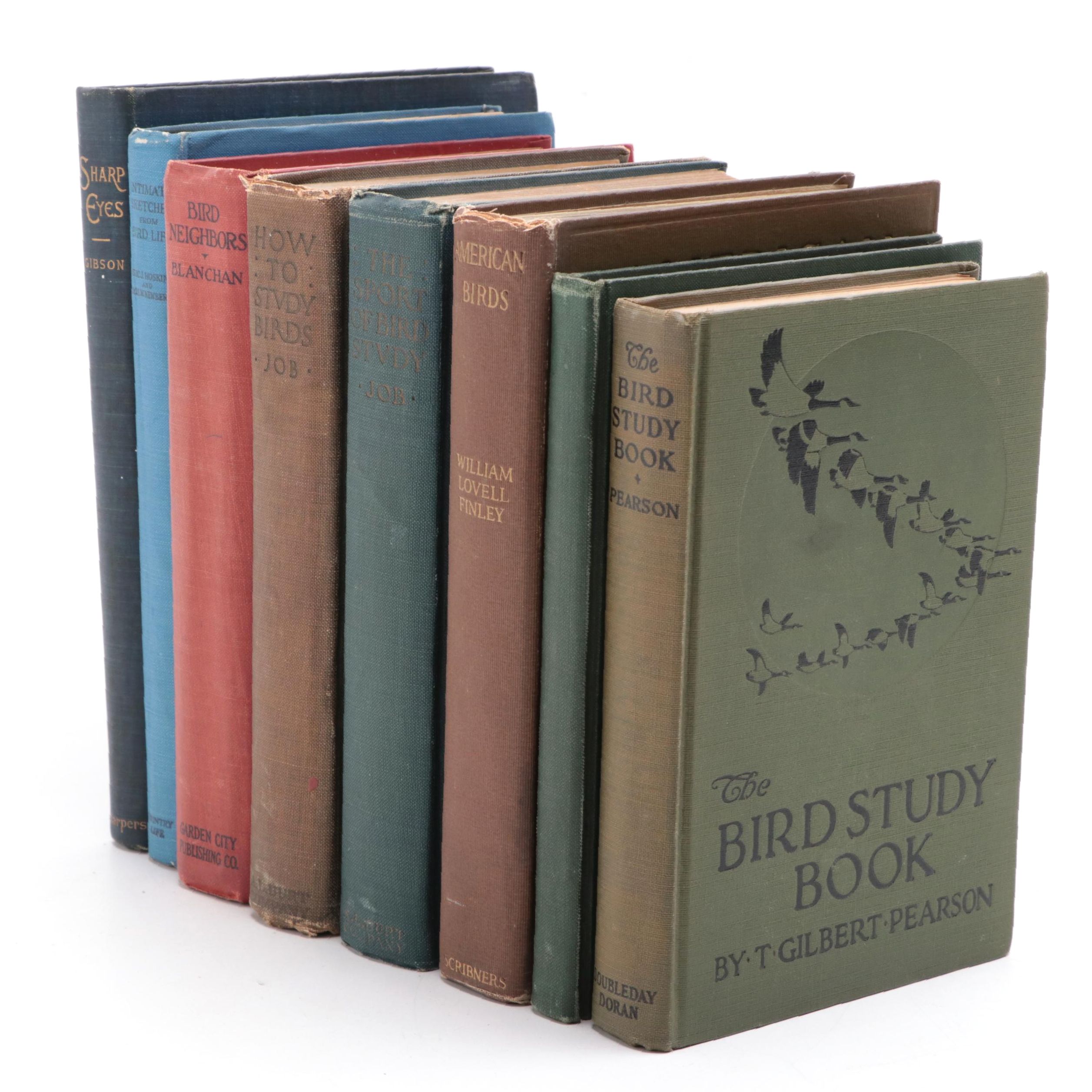 First Edition "American Birds" by William Lovell Finley and More | EBTH
