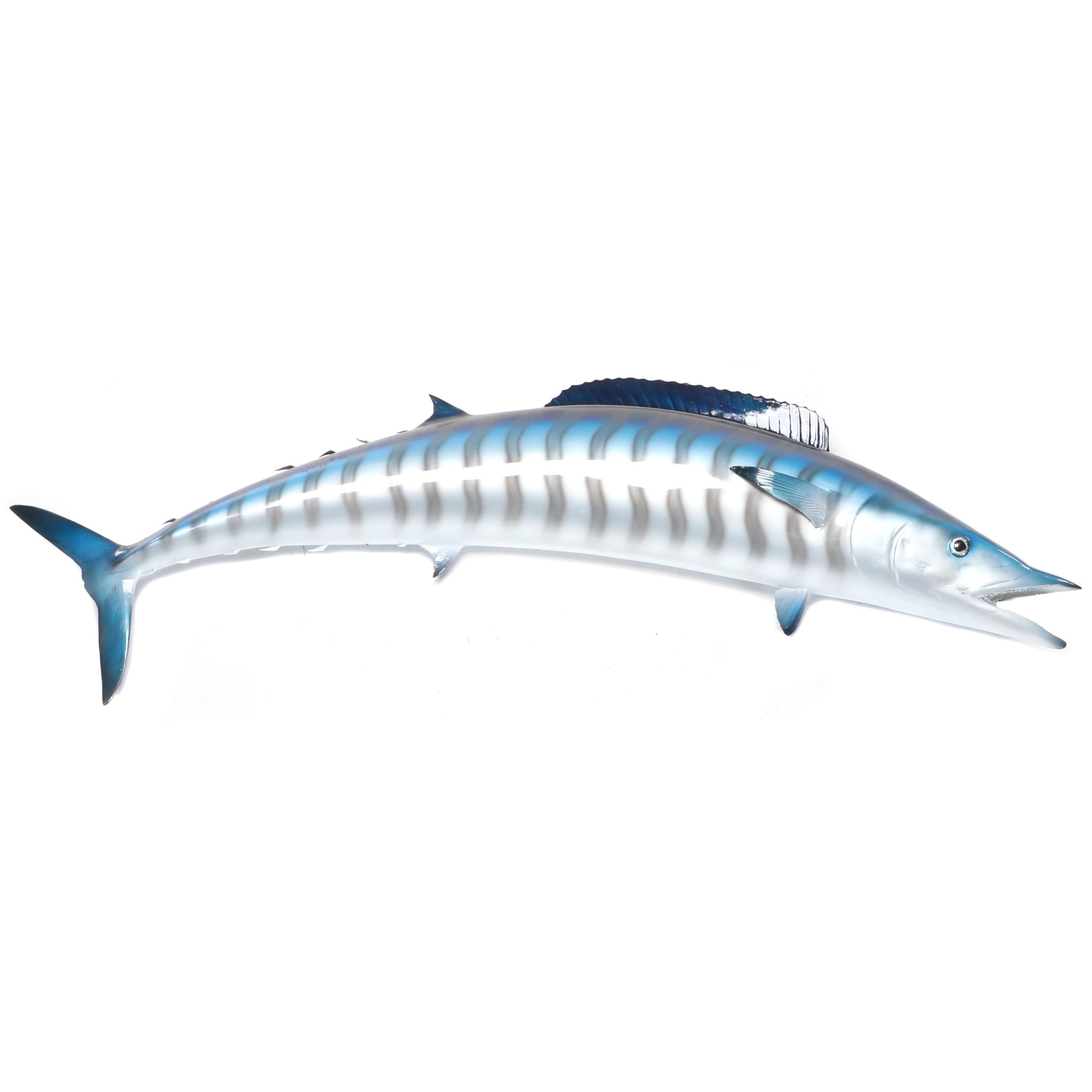 Taxidermy Wahoo Fiberglass Replica Fish Full Body Mount | EBTH