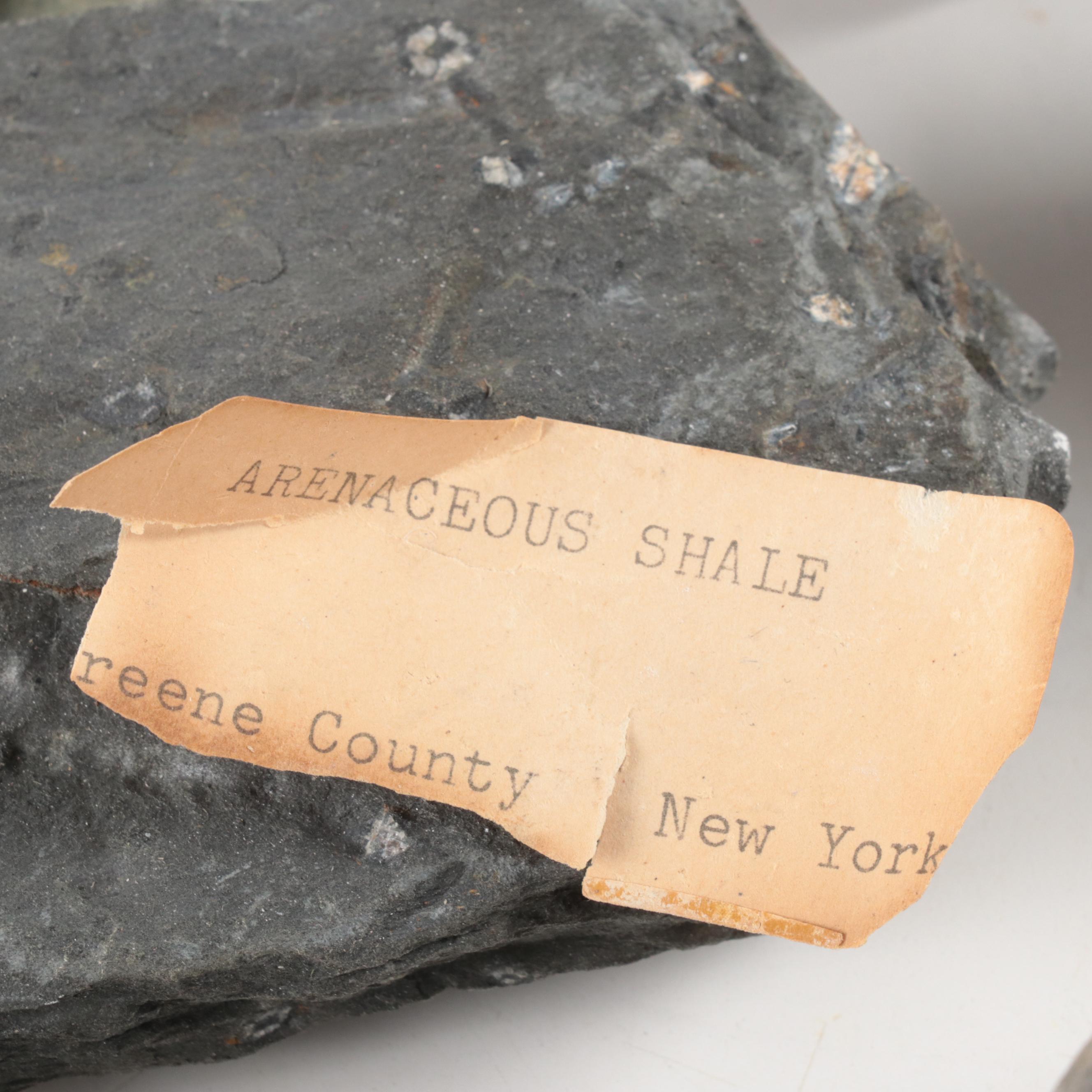 Serpentine, Arenaceous Shale, Gneiss, Marble and More Mineral Specimens ...