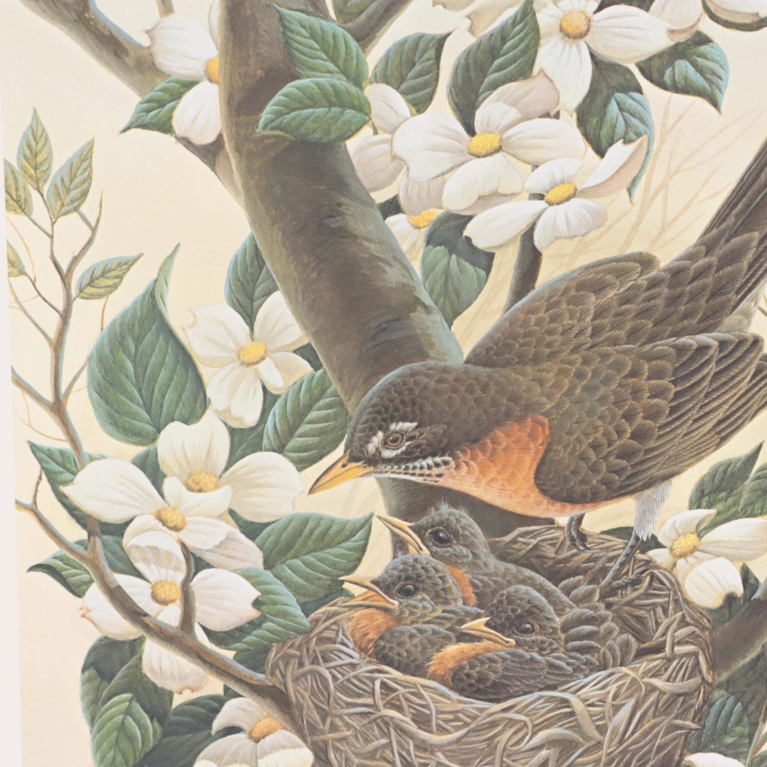 John A. Ruthven Offset Lithograph "Robin Family," Circa 1981 | EBTH