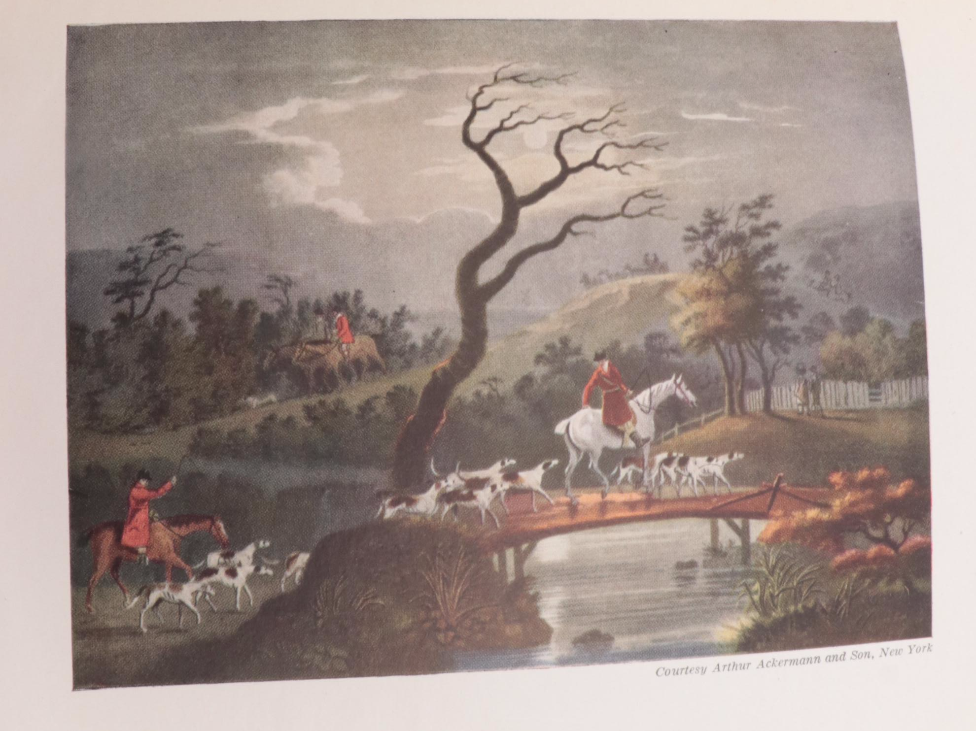 Carton Moorepark Illustrated "Reynard the Fox" by John Masefield and ...