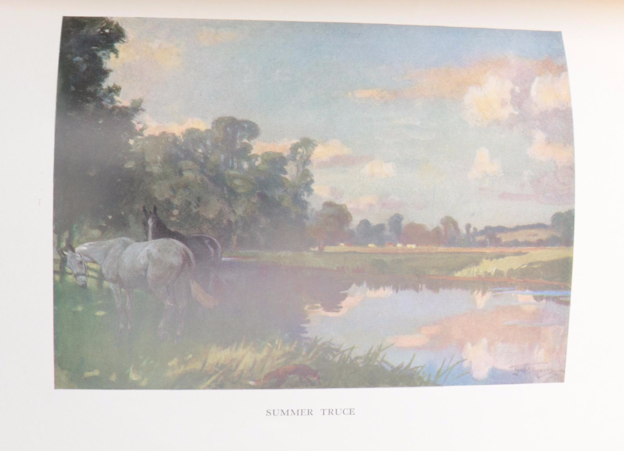 Carton Moorepark Illustrated "Reynard the Fox" by John Masefield and ...