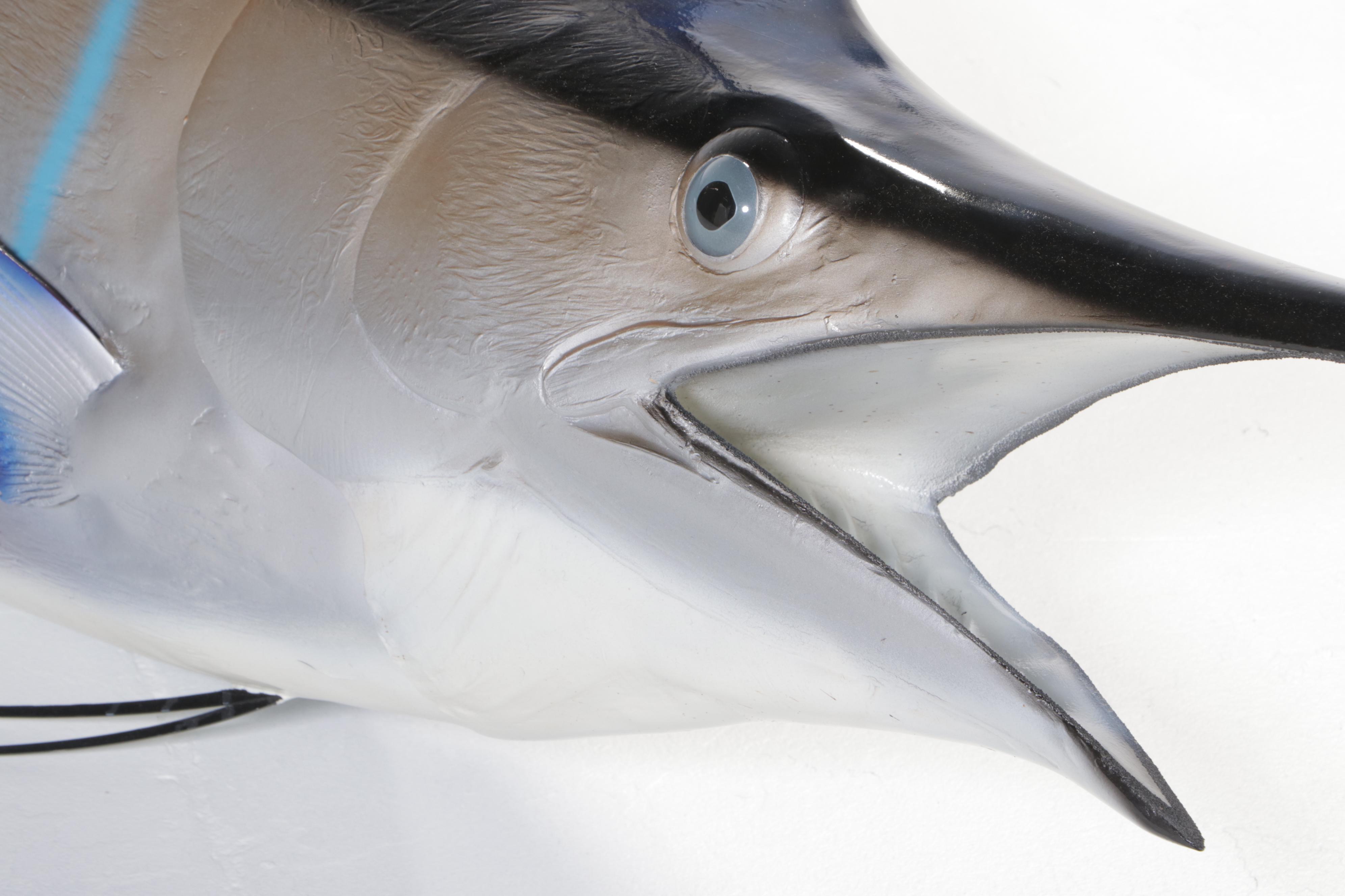 Taxidermy Atlantic Blue Marlin Fiberglass Replica | EBTH