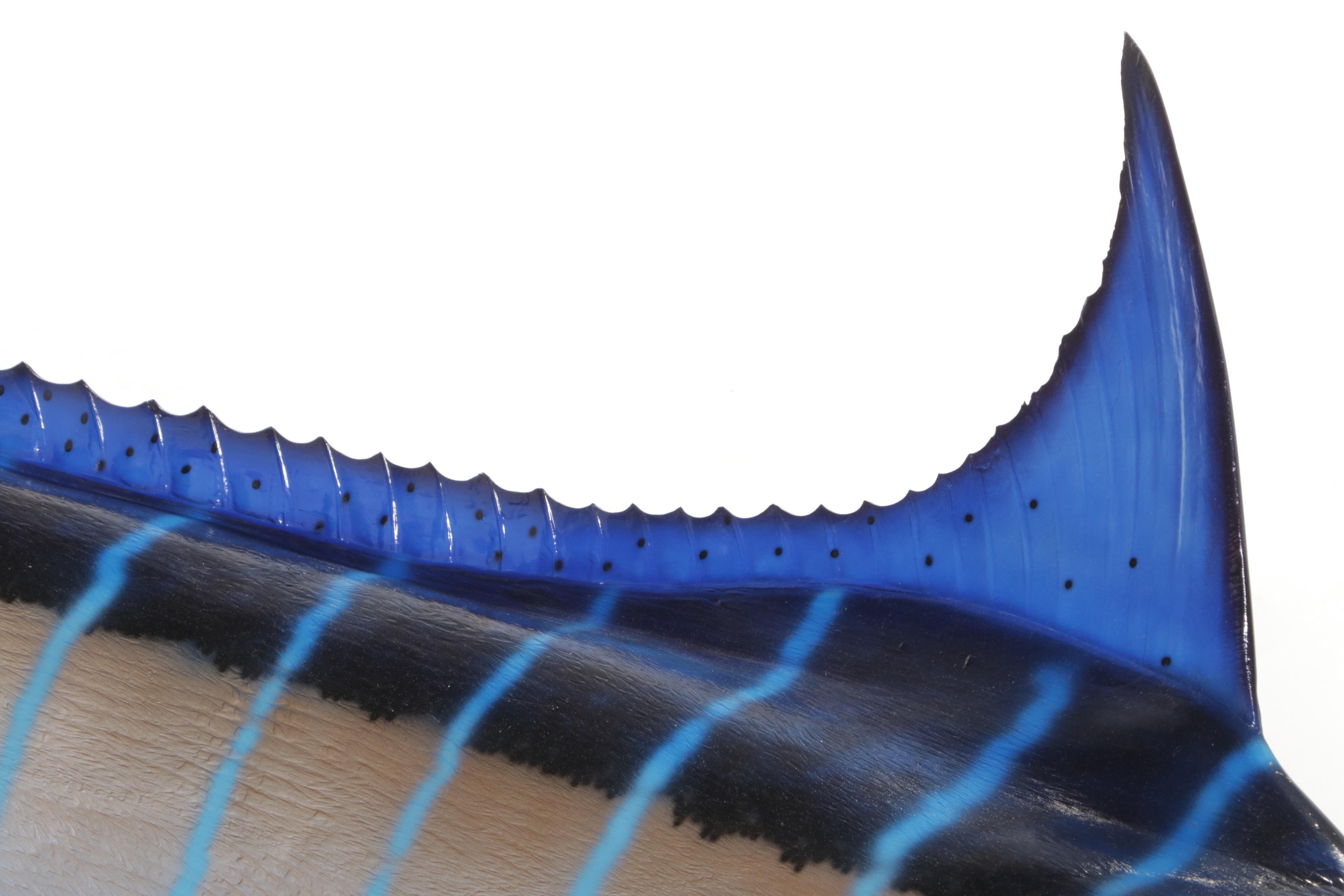 Taxidermy Atlantic Blue Marlin Fiberglass Replica | EBTH