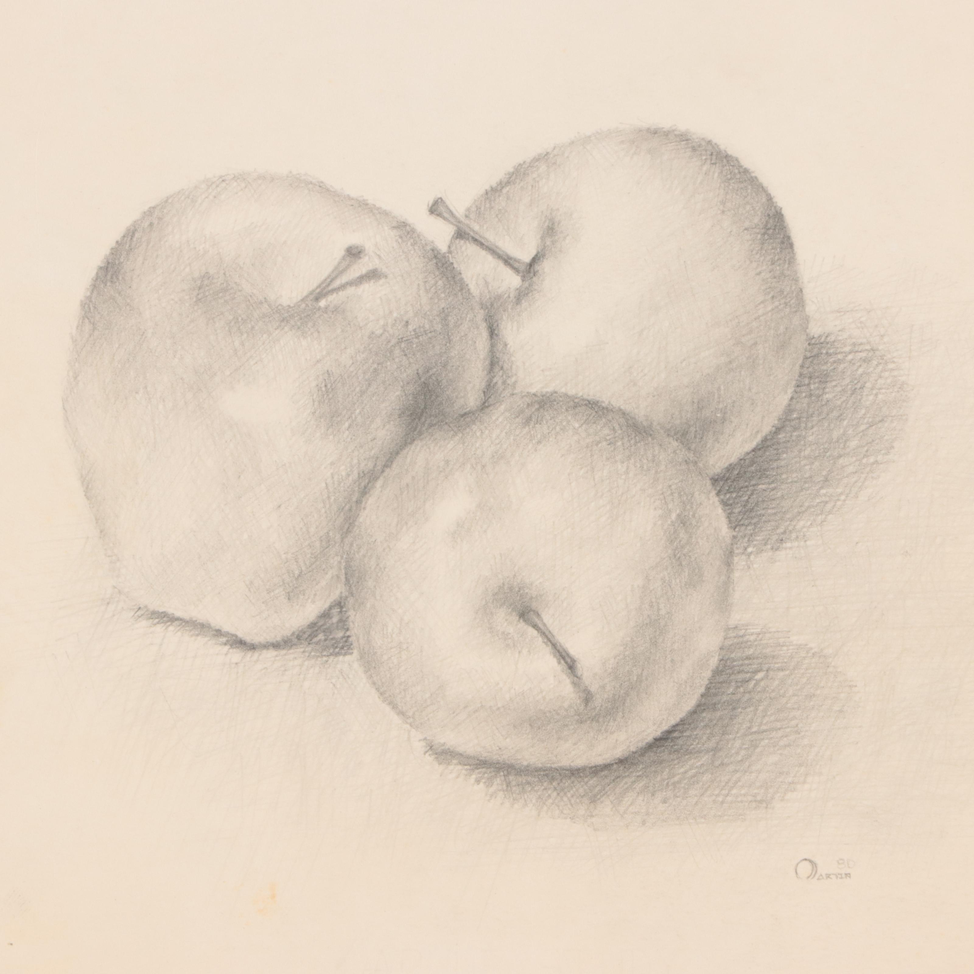 Still Life Graphite Drawing of Apples, 1980 | EBTH