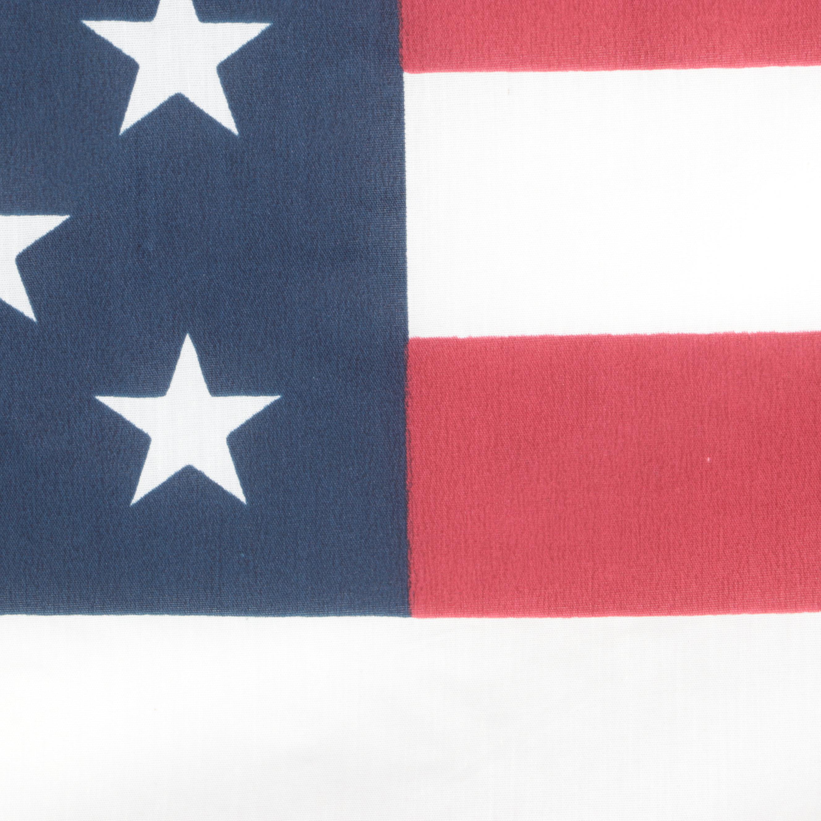 Annin & Co American Flag with Federal Style Springfield Thermometer ...