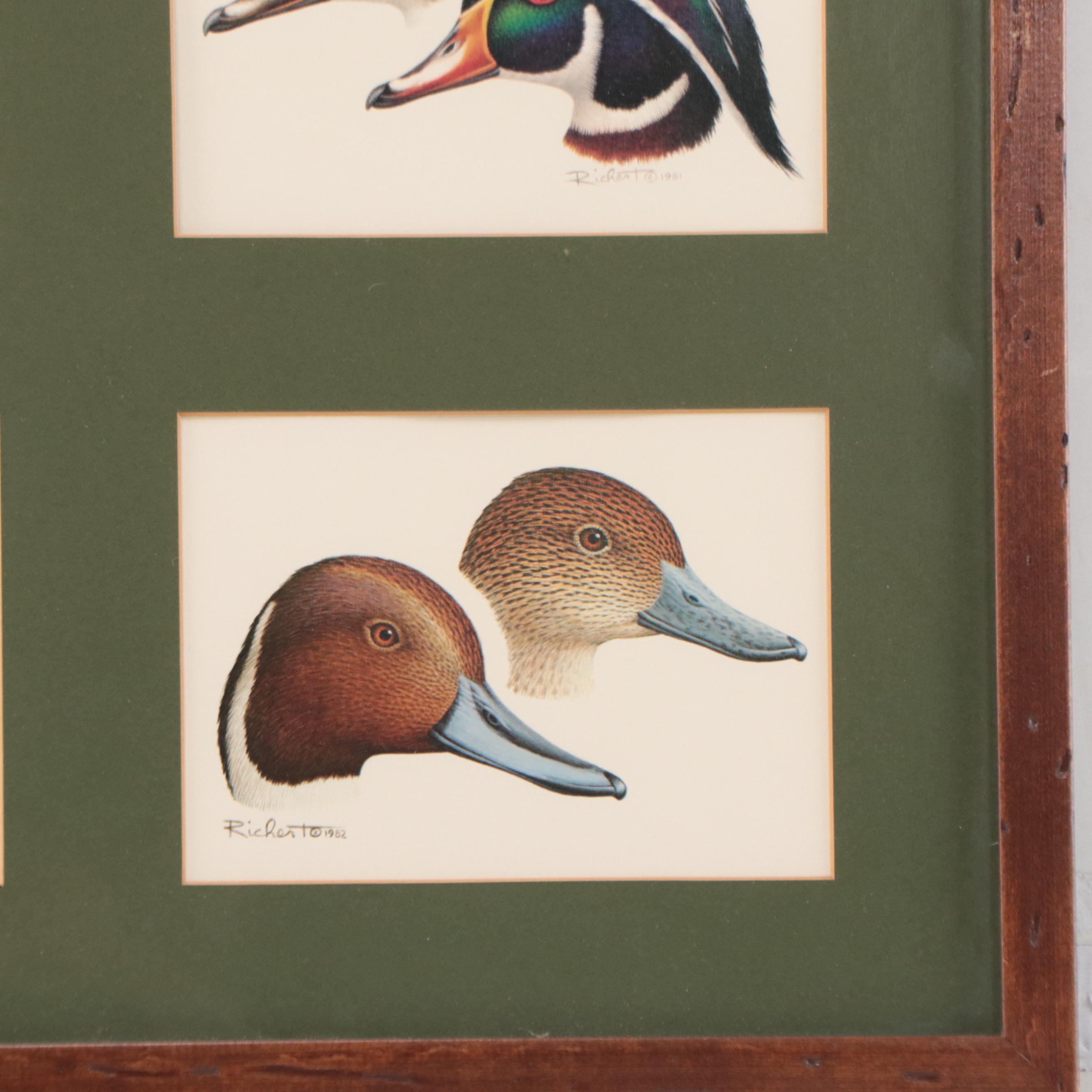 Offset Lithograph After Robert Richert of Duck Portraits, Late 20th ...