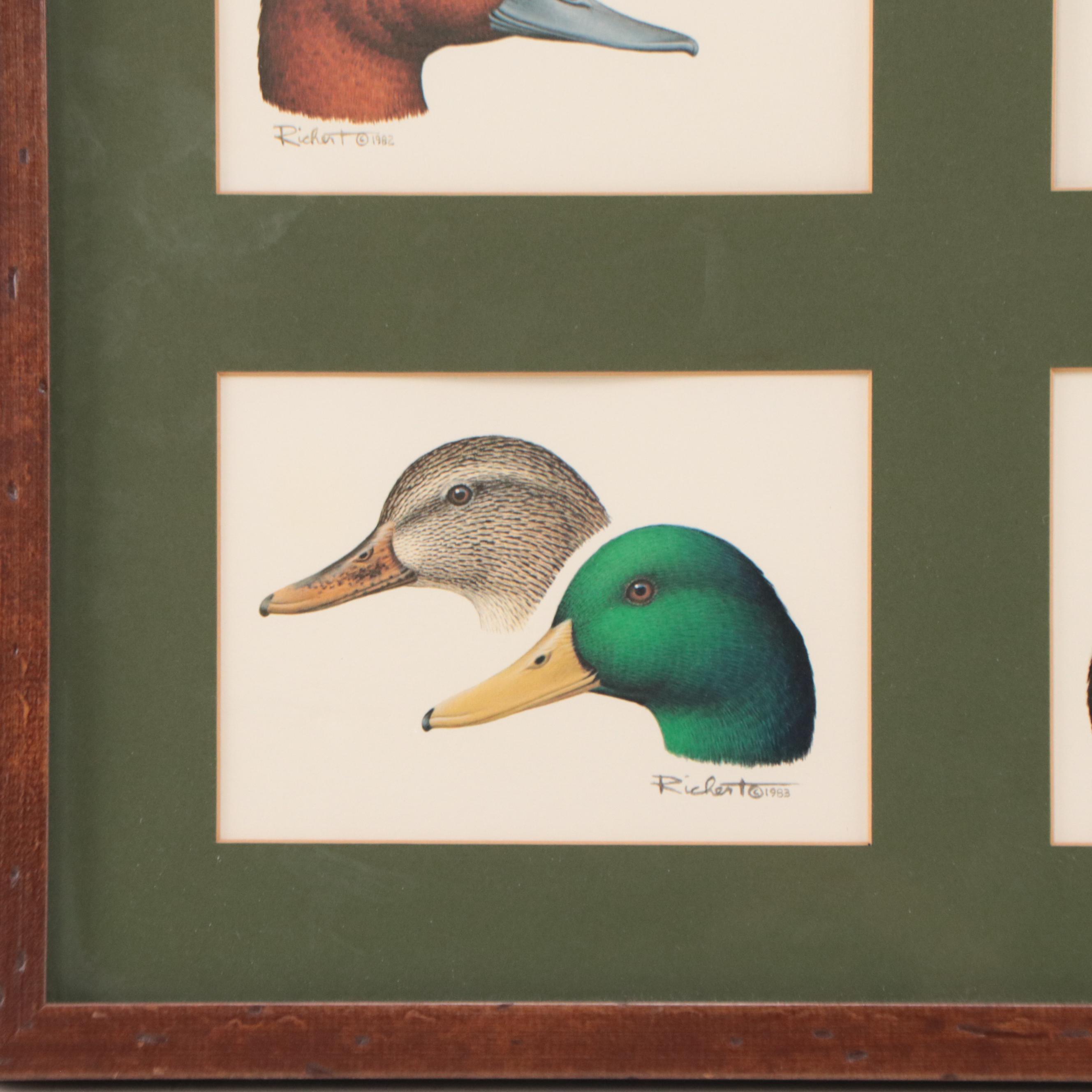 Offset Lithograph After Robert Richert of Duck Portraits, Late 20th ...