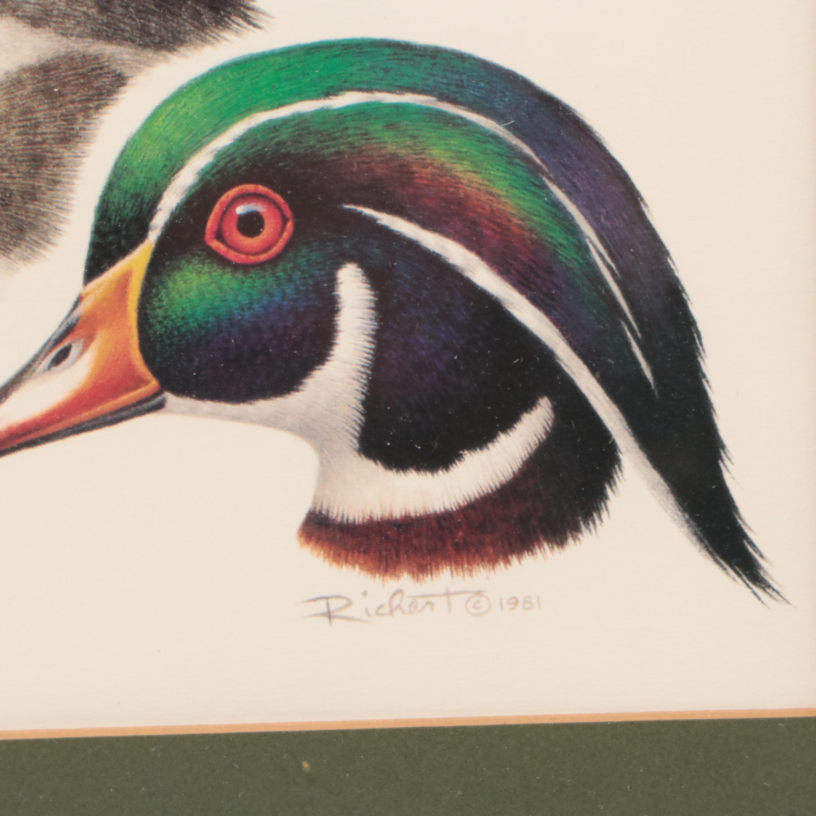 Offset Lithograph After Robert Richert of Duck Portraits, Late 20th ...