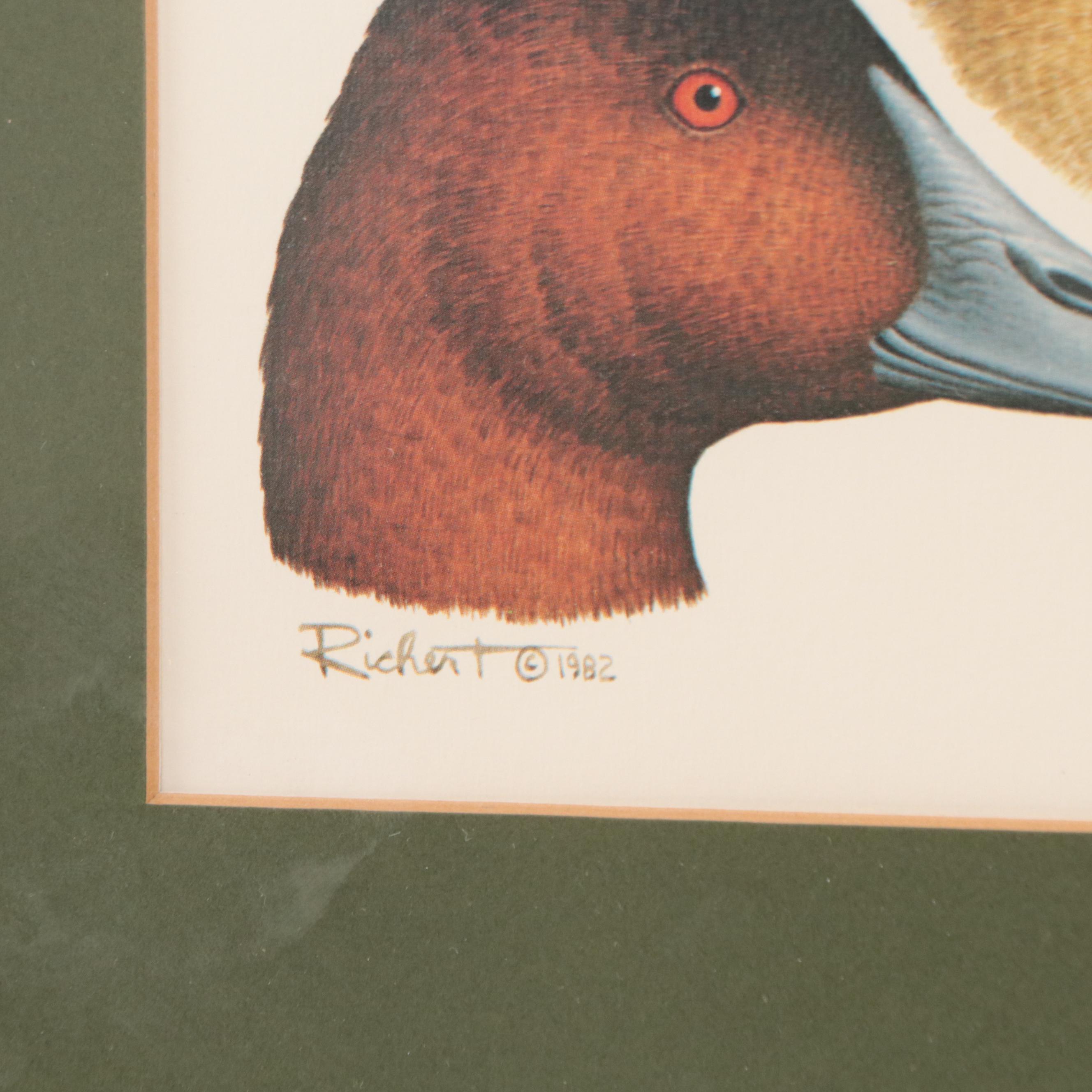 Offset Lithograph After Robert Richert of Duck Portraits, Late 20th ...