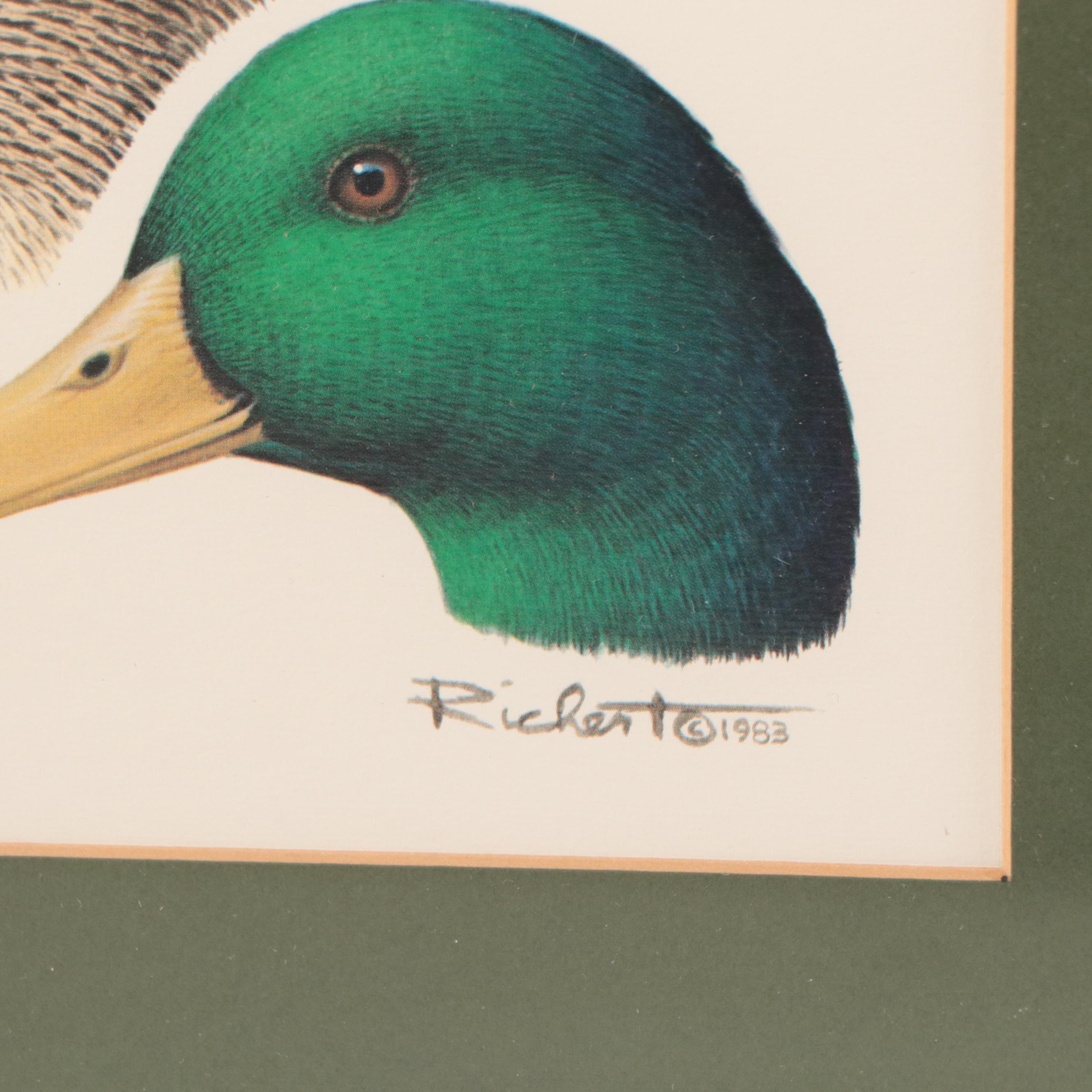Offset Lithograph After Robert Richert of Duck Portraits, Late 20th ...