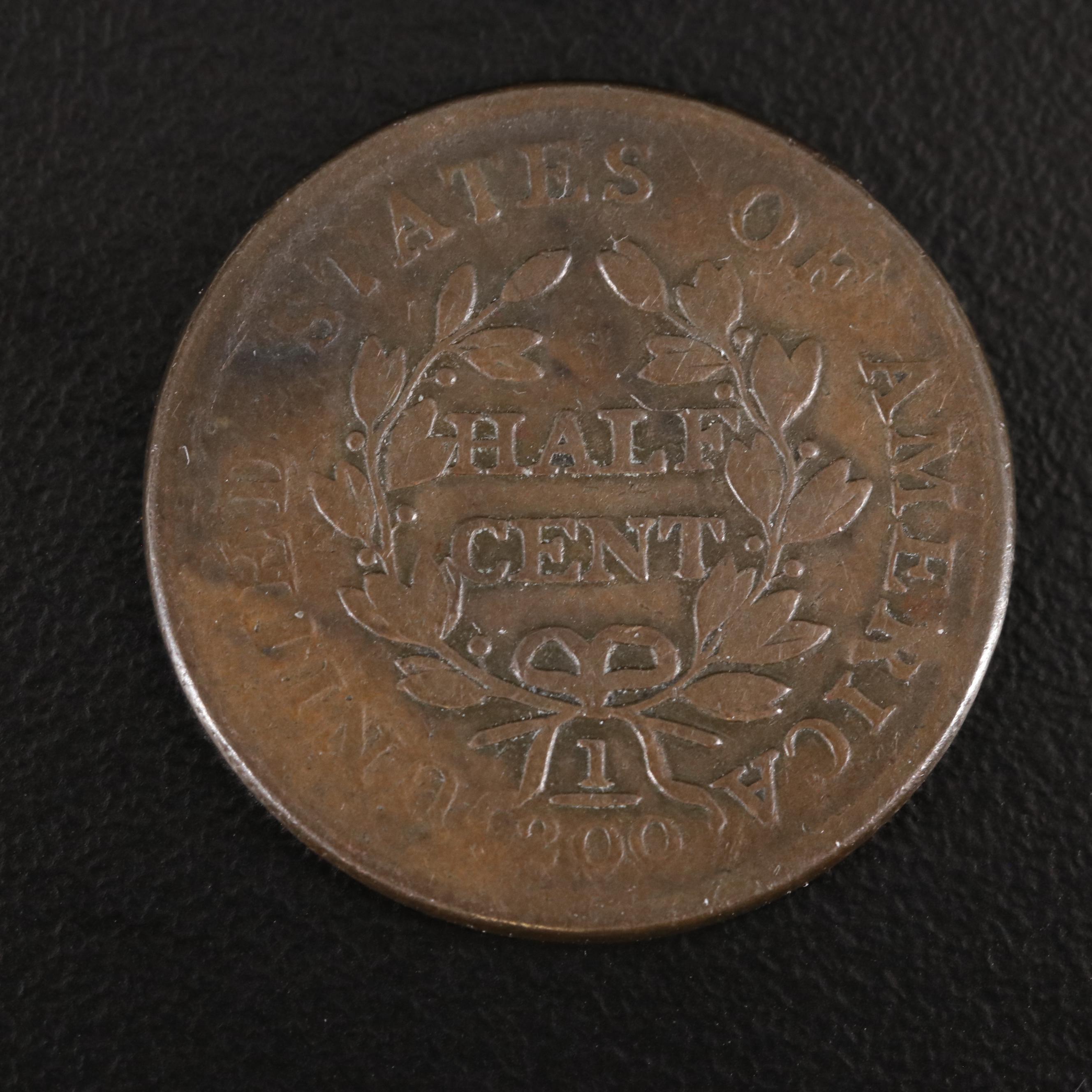 1804 Draped Bust Half Cent | EBTH